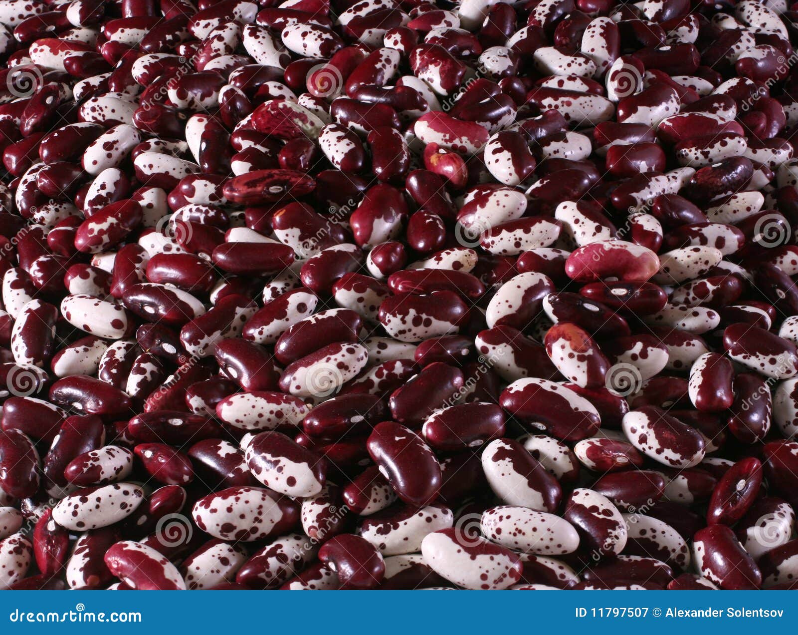 Red beans stock image. Image of nutrition, food, legumes - 11797507