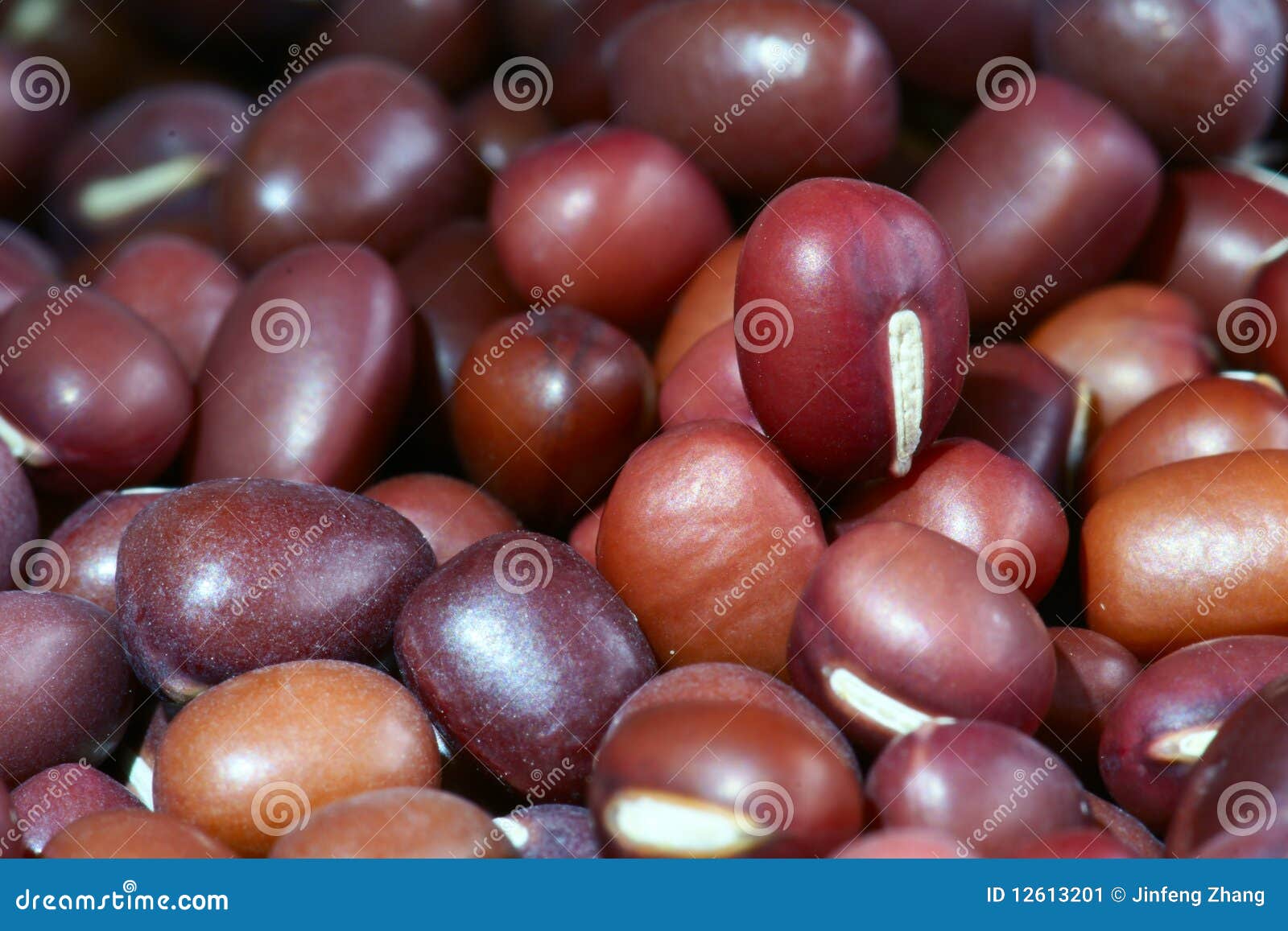 Red beans stock image. Image of crop, nature, nourishment - 12613201