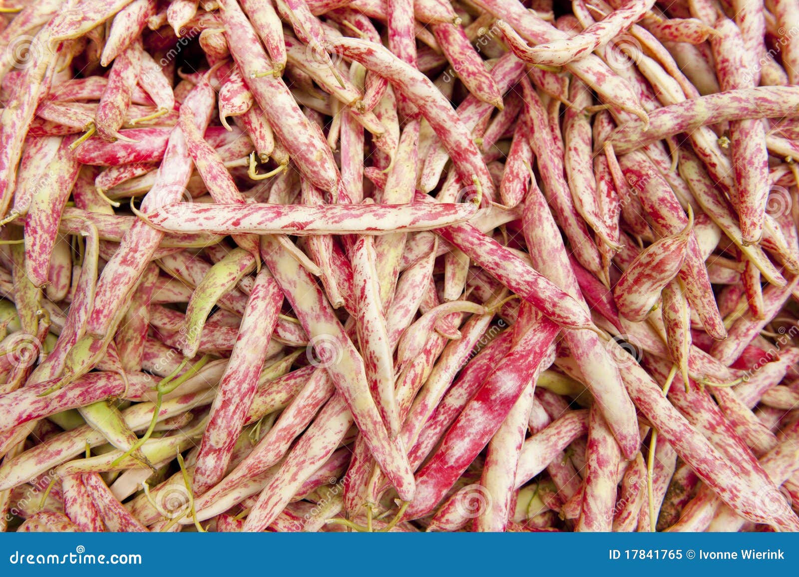 Red beans stock image. Image of healthy, borlotti, nature - 17841765