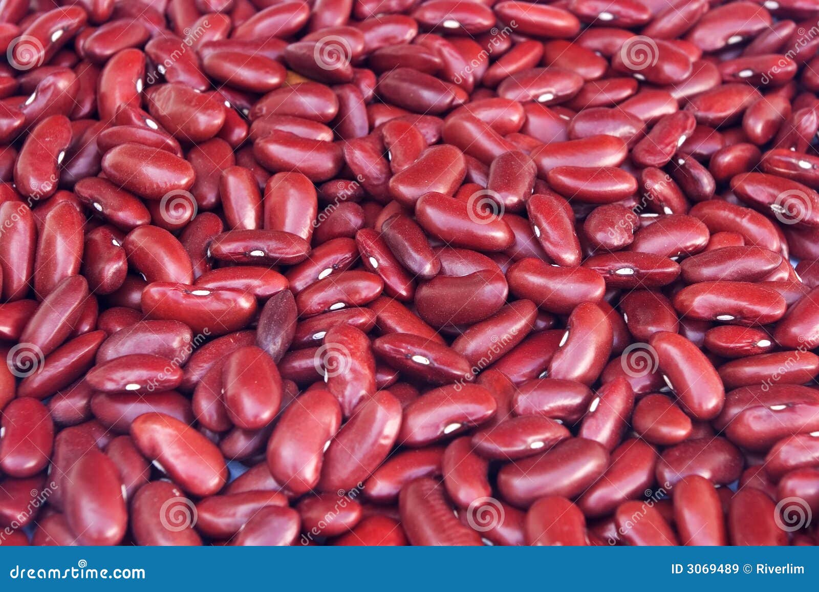 Red Beans stock image. Image of color, vegetarian, ingredient - 3069489