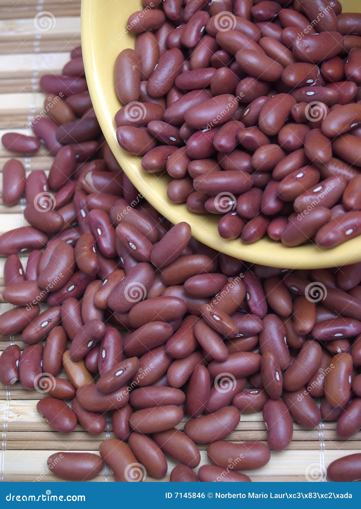 Red beans stock photo. Image of food, nutrients, seeds - 7145846