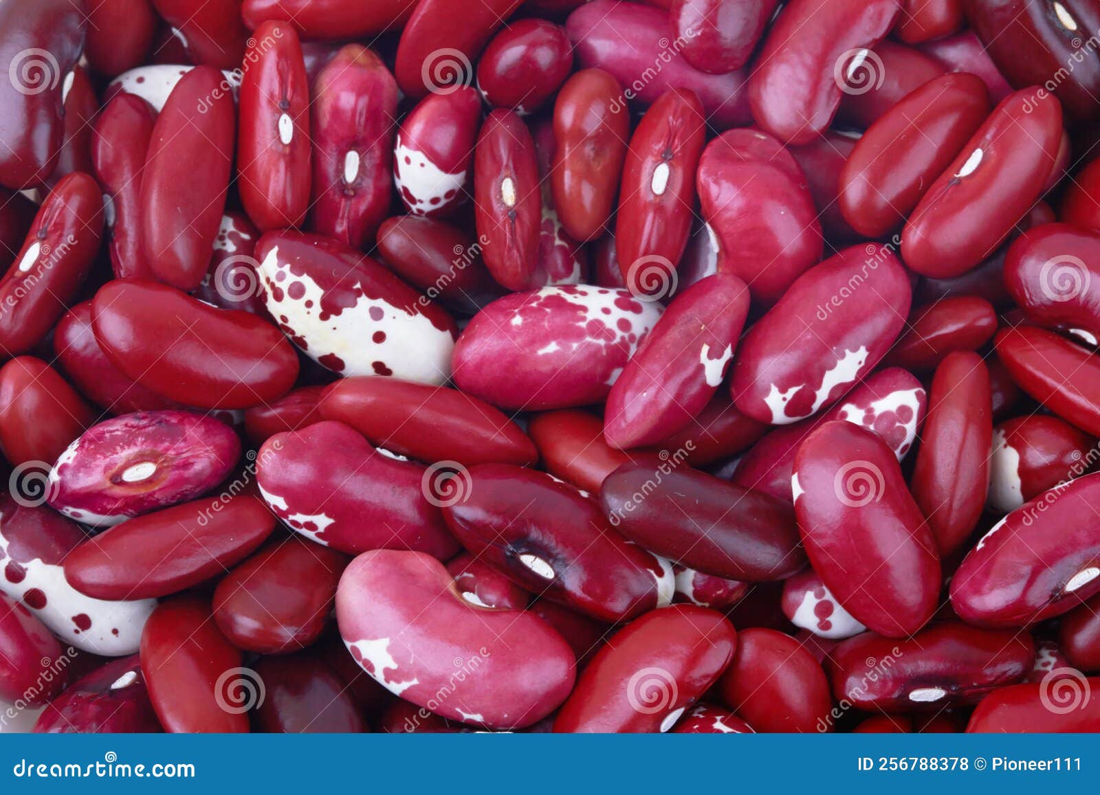 Red beans background stock photo. Image of ingredient - 256788378