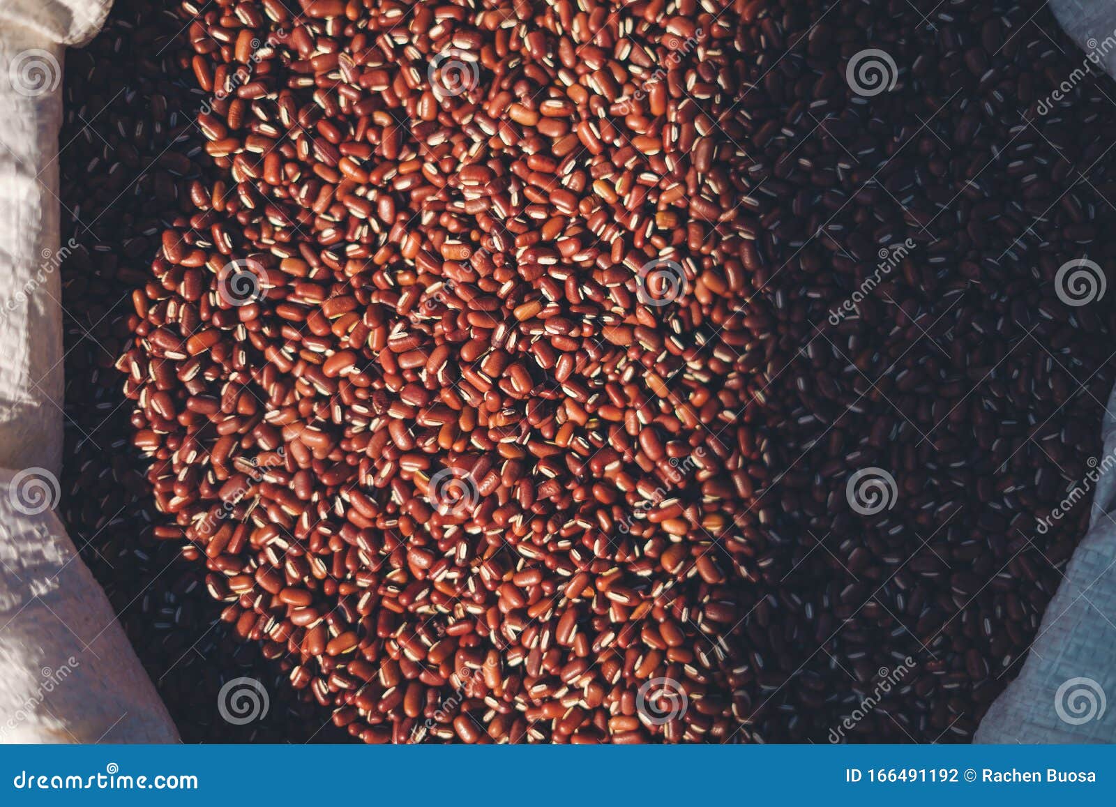 Red Beans in the Bag at the Market Stock Photo - Image of healthy ...