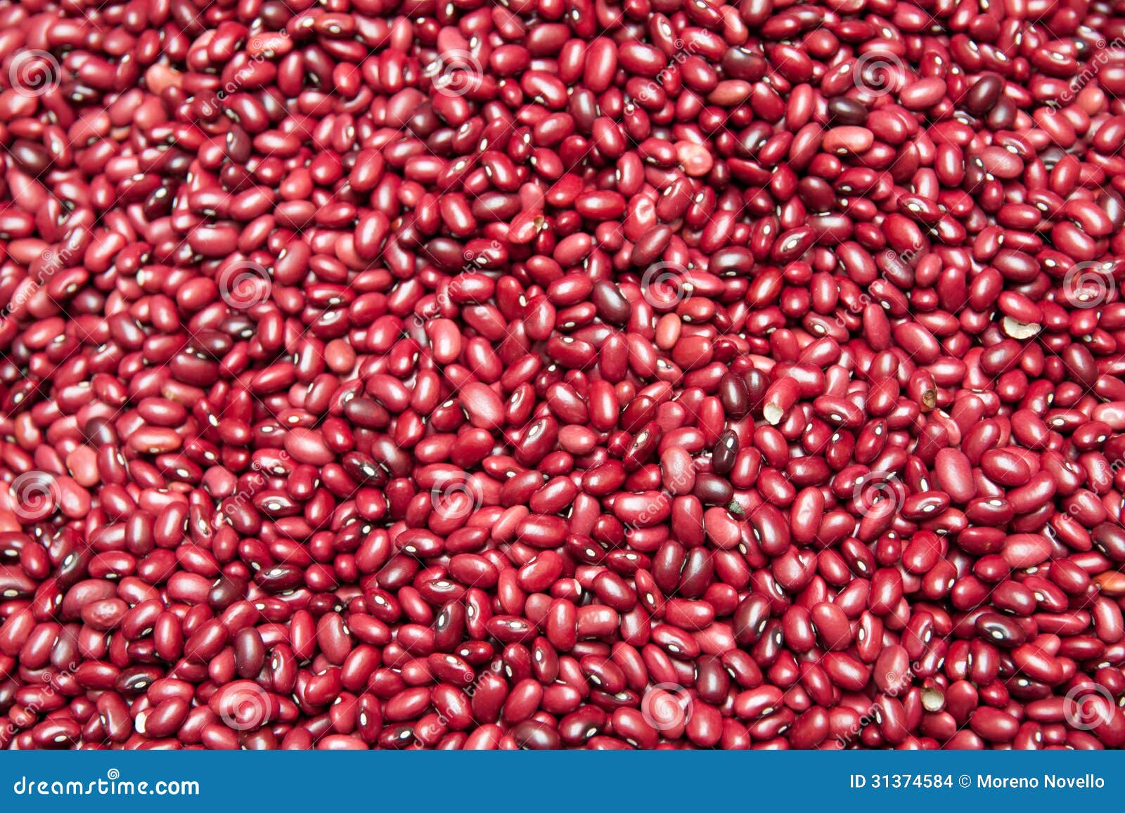 Red beans stock photo. Image of green, seed, diet, dried - 31374584