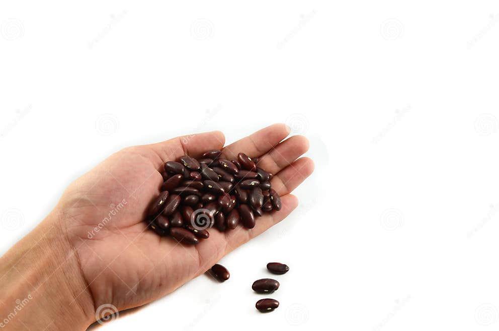 Red beans in hand stock image. Image of sacks, cooking - 51352423