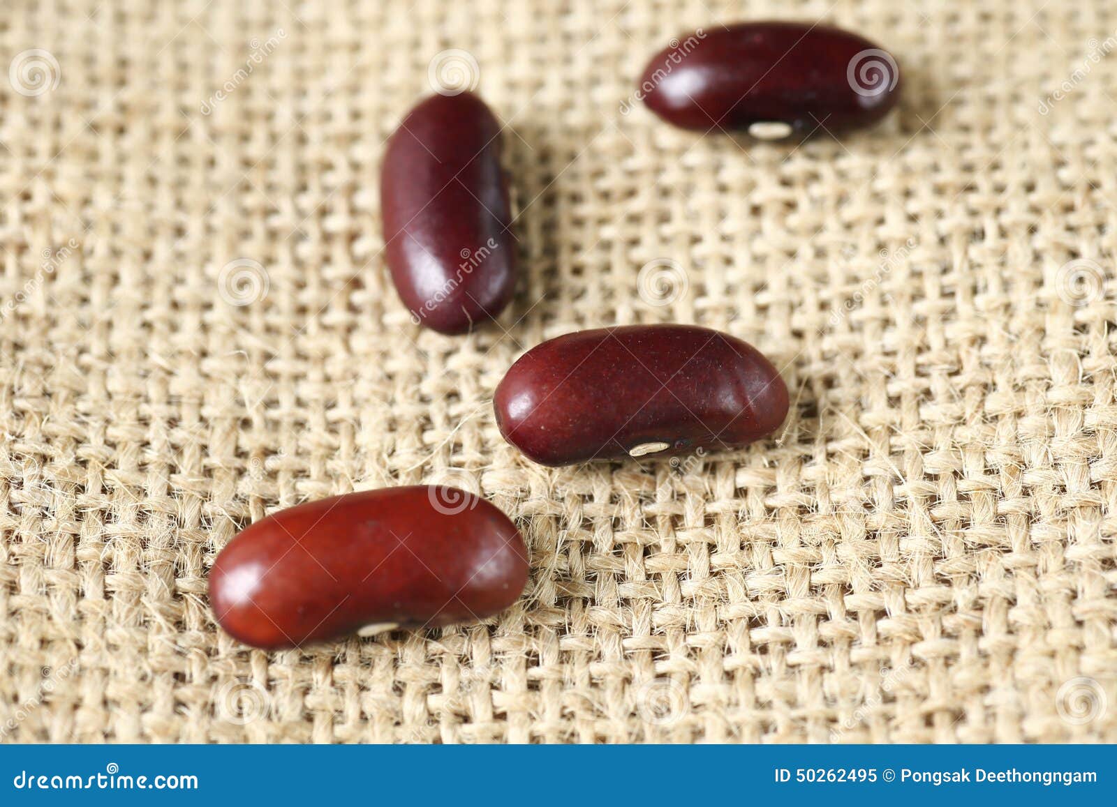 Red beans macro stock image. Image of renal, agriculture - 50262495