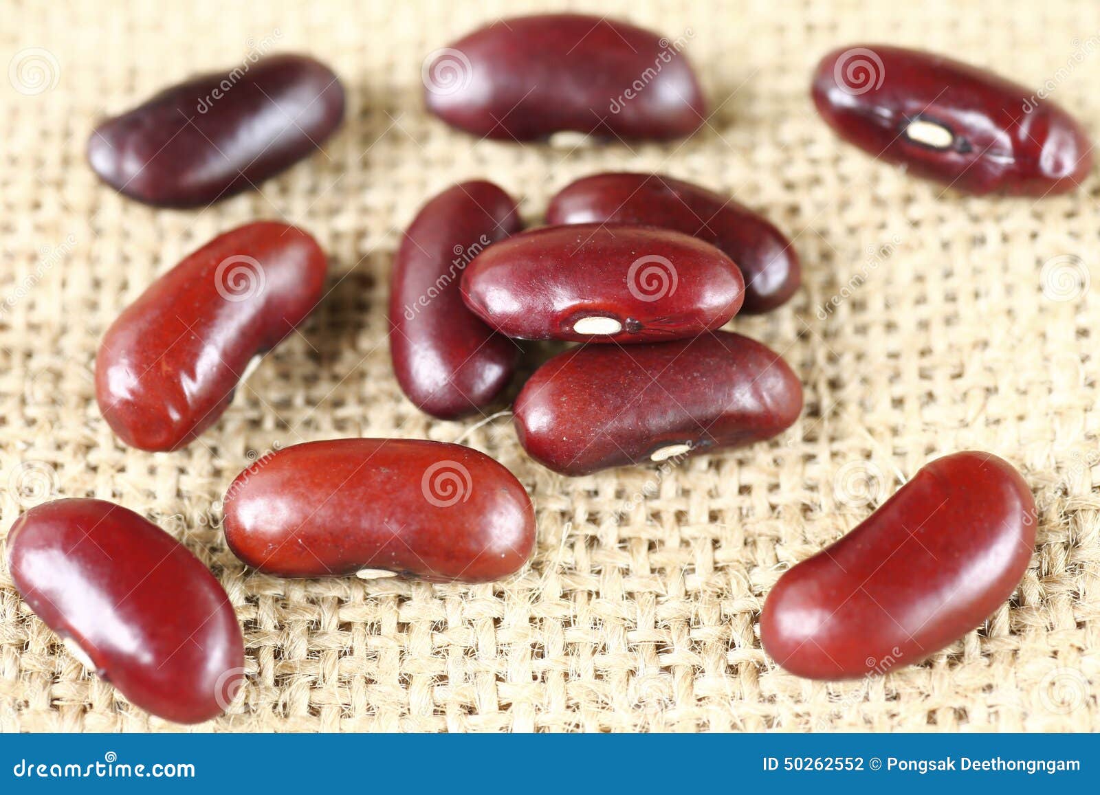 Red beans macro stock photo. Image of nature, renal, natural - 50262552