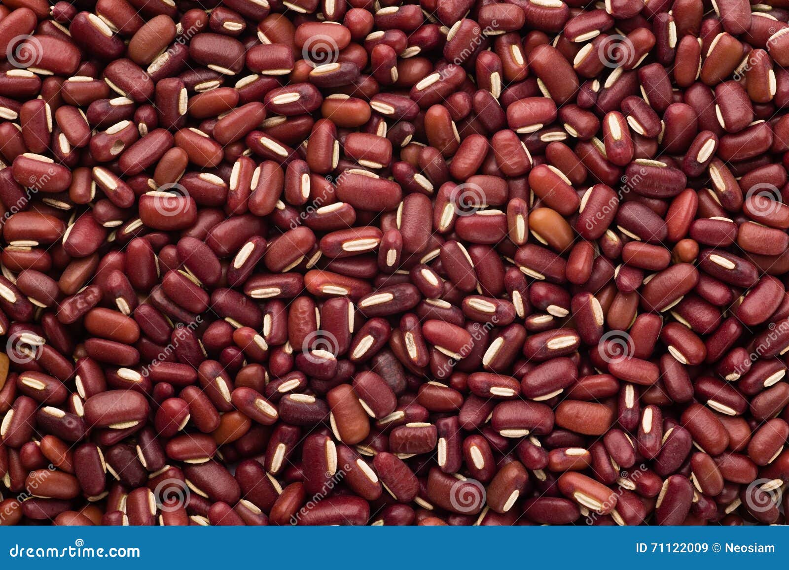 Red beans organic stock image. Image of background, protein - 71122009