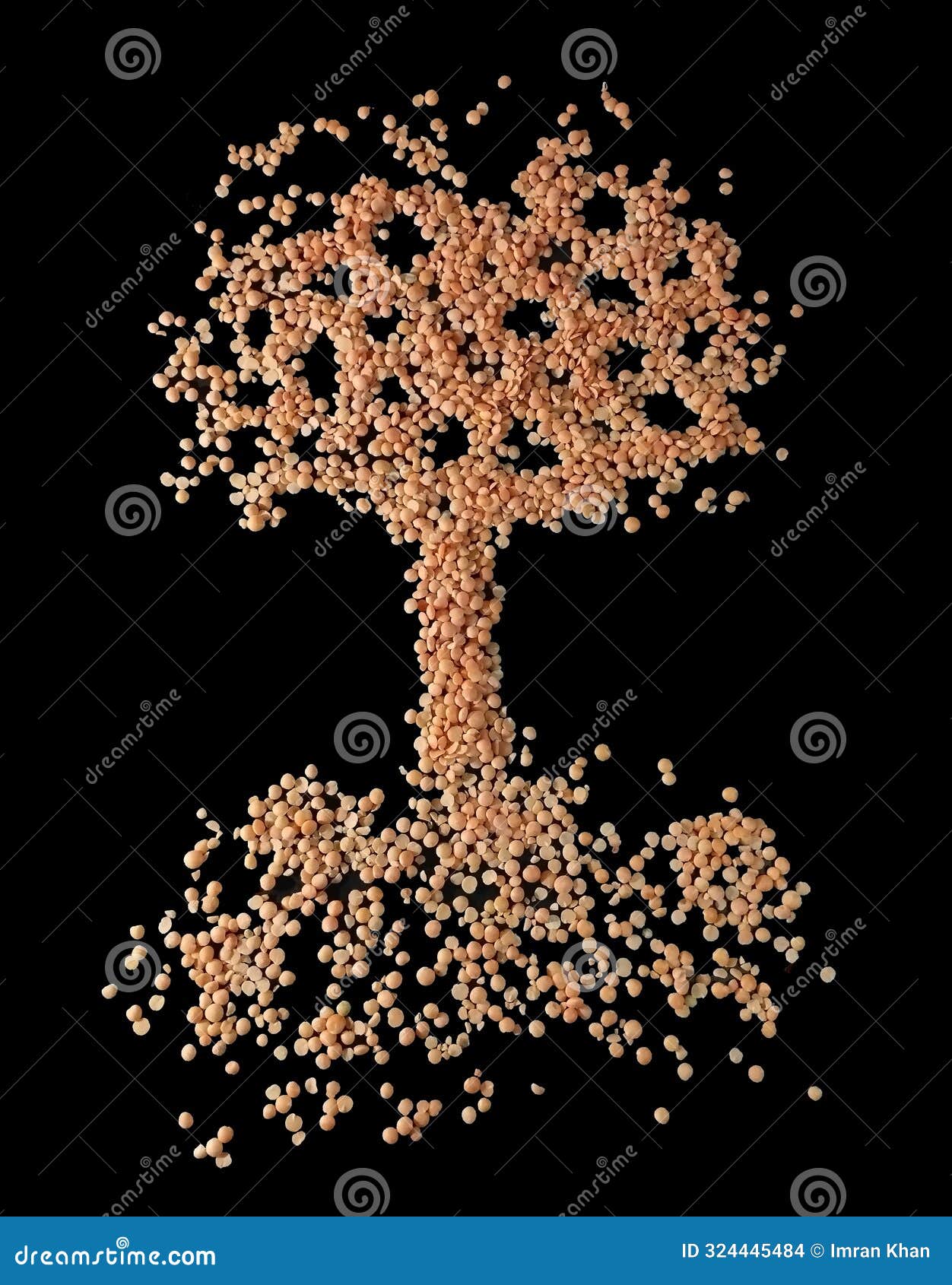 Red Beans (Phaseolus, Wild Bean) in Shape of Tree Stock Photo - Image ...