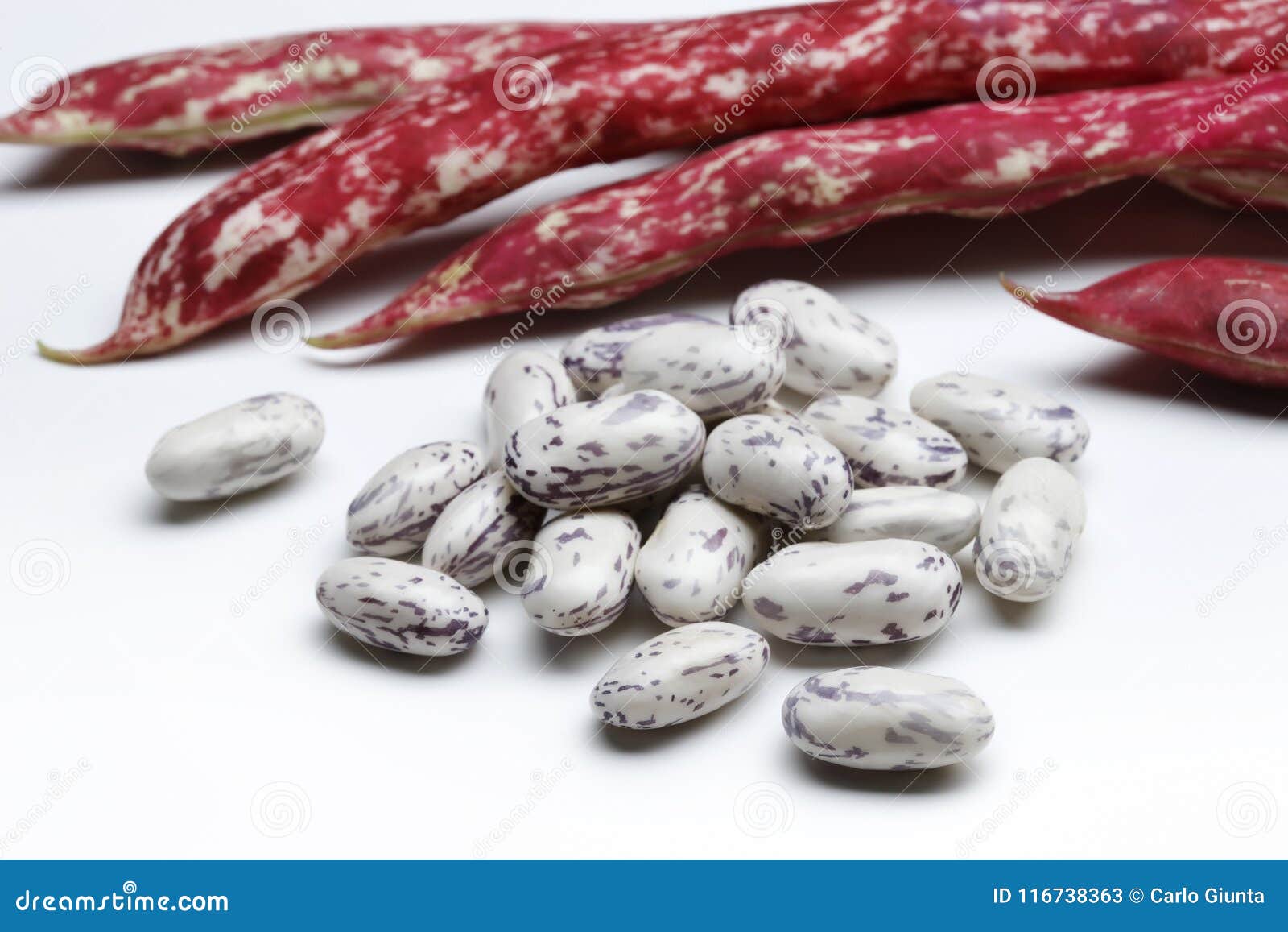 Red beans pods 4 stock image. Image of natural, bean - 116738363