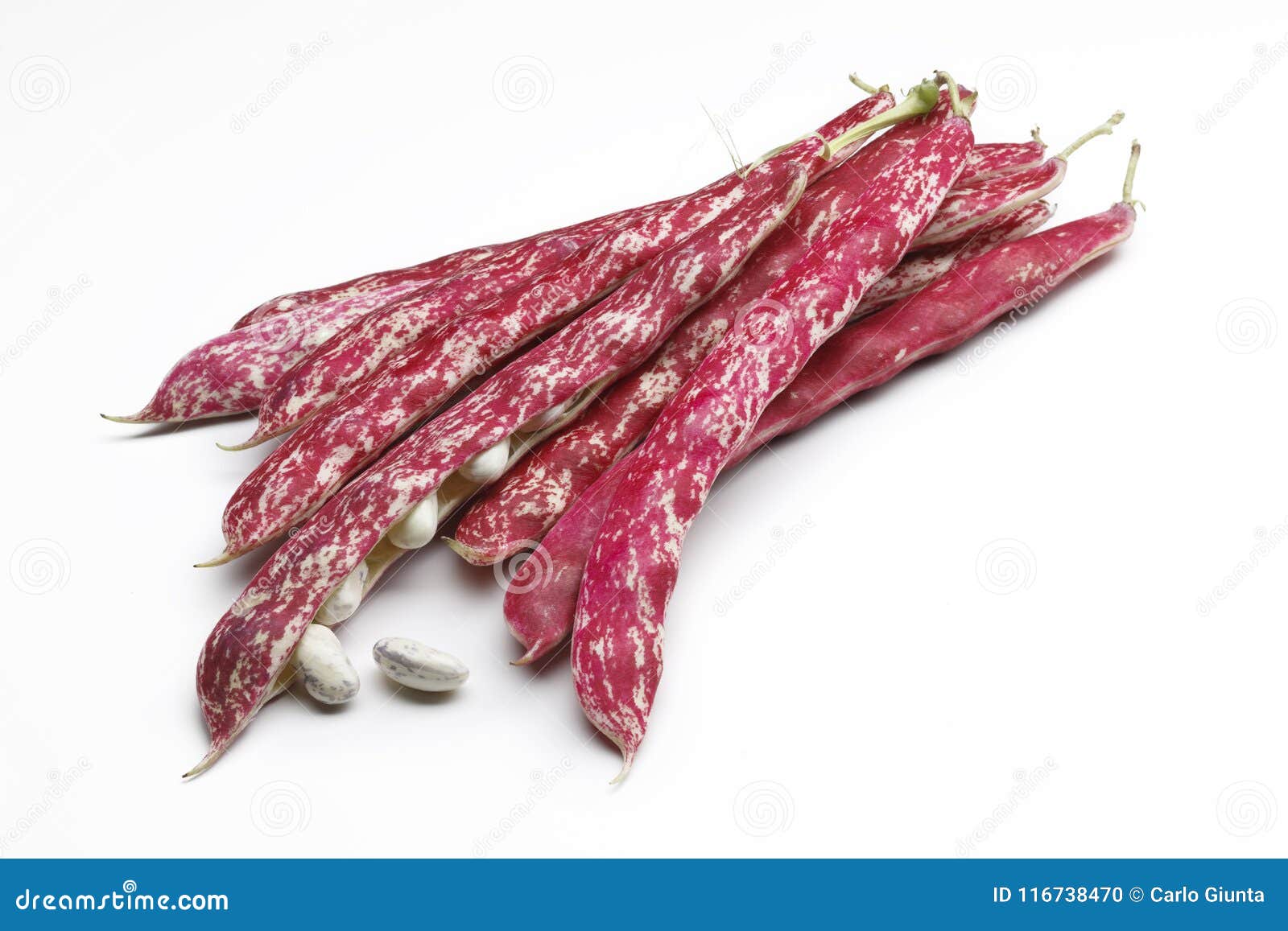 Red beans pods 5 stock photo. Image of green, dried - 116738470