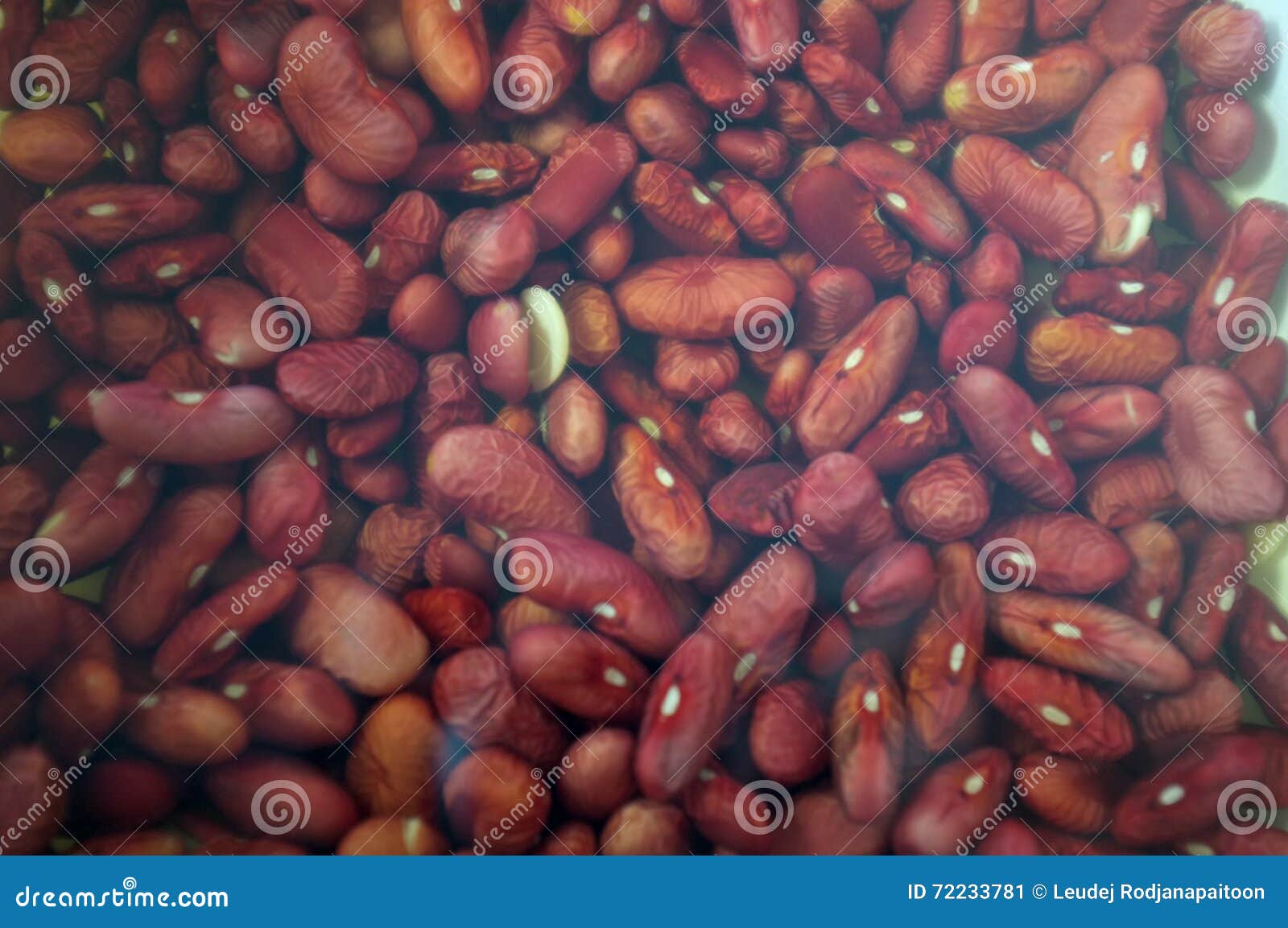 Red beans soaked in water stock image. Image of soak - 72233781