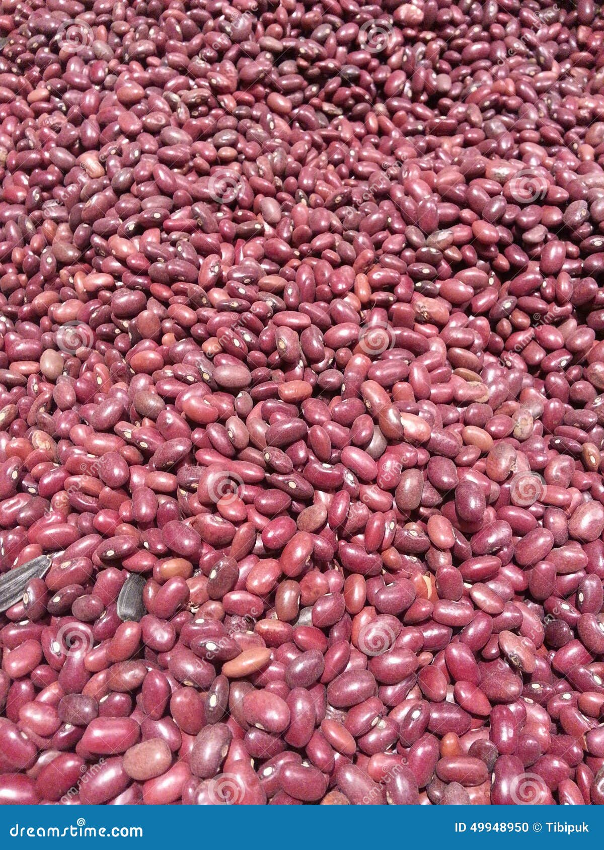 Red beans stock photo. Image of vegetables, supermarket - 49948950
