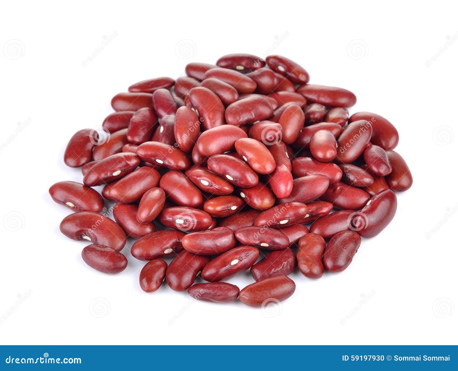Red Beans on White Background Stock Photo - Image of seed, vegetarian ...