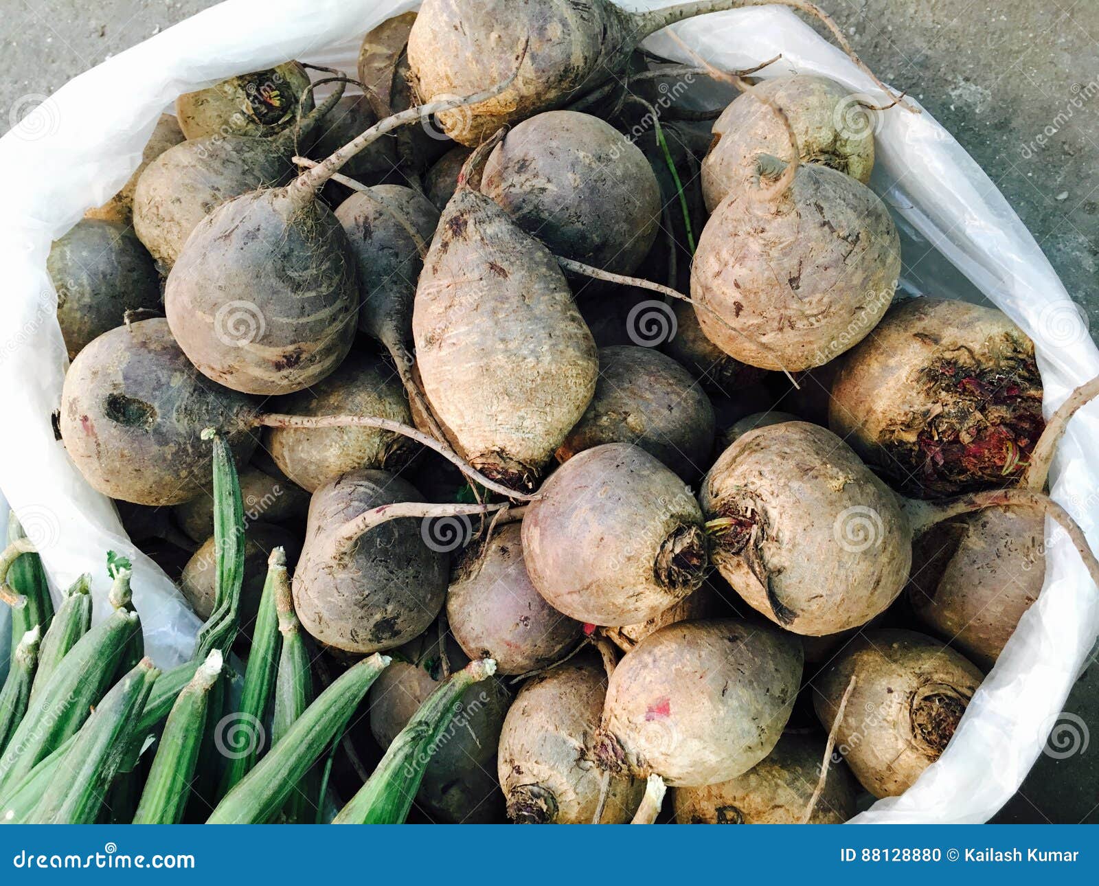 Red Beat vegetable stock photo. Image of cucmber, fresh - 88128880