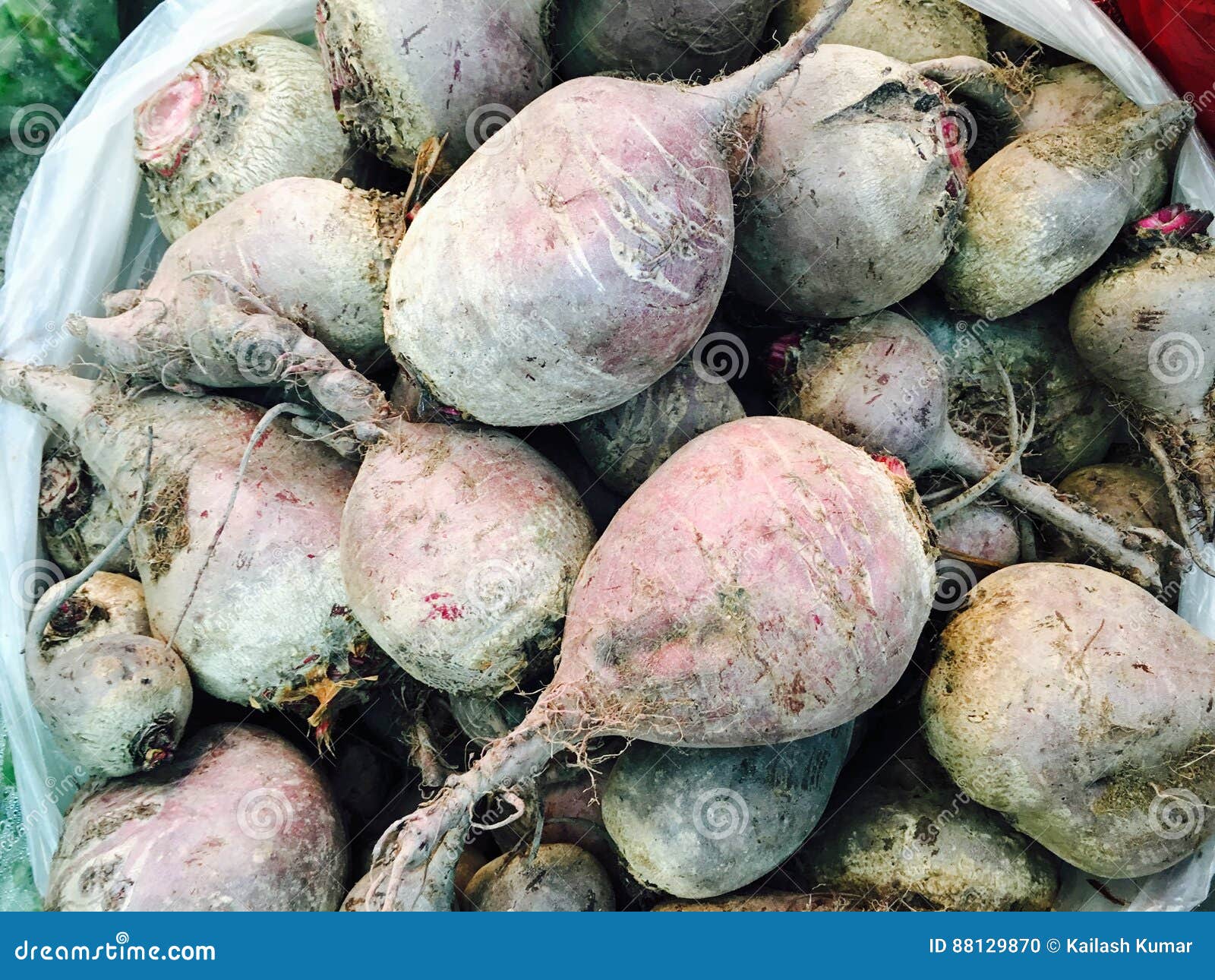 Red Beat vegetable stock photo. Image of fresh, vegetarian - 88129870