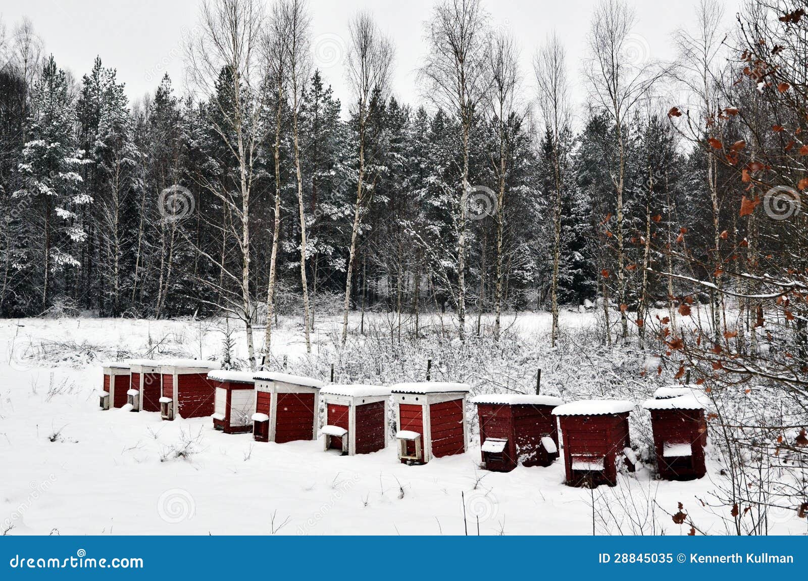 Red bee hives stock image. Image of beehive, home, animal - 28845035