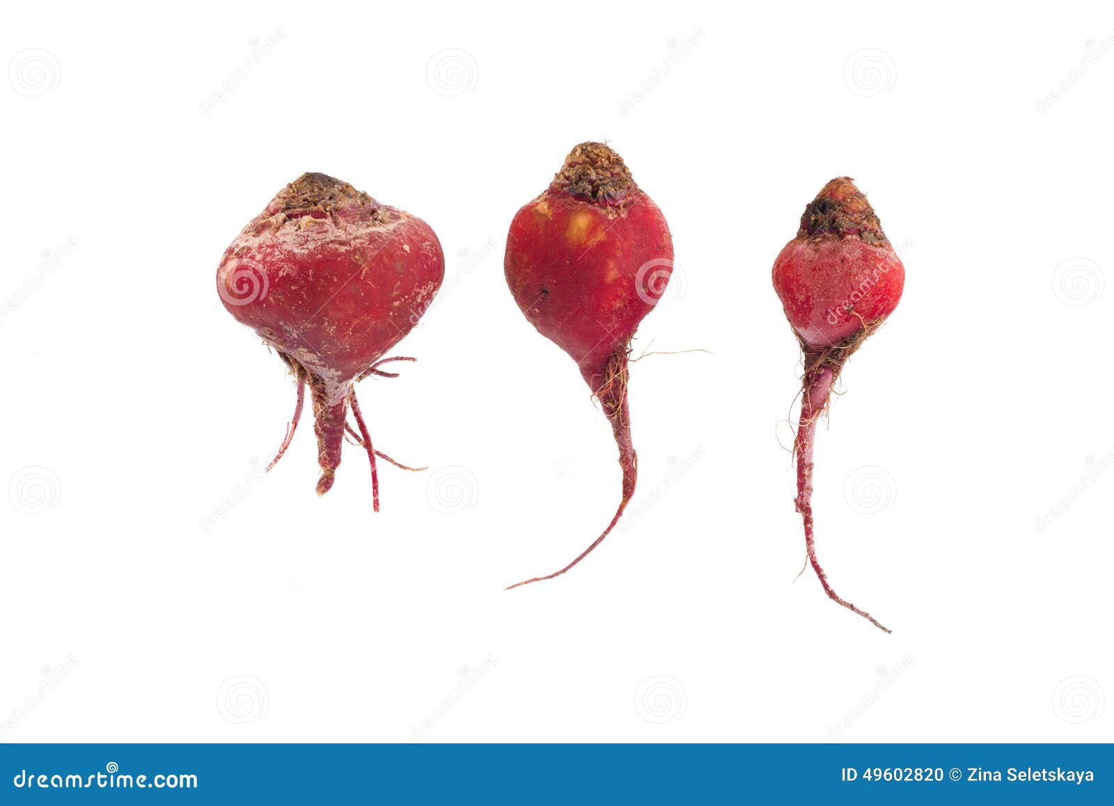 3 red beeds stock photo. Image of beetroot, ingredient - 49602820