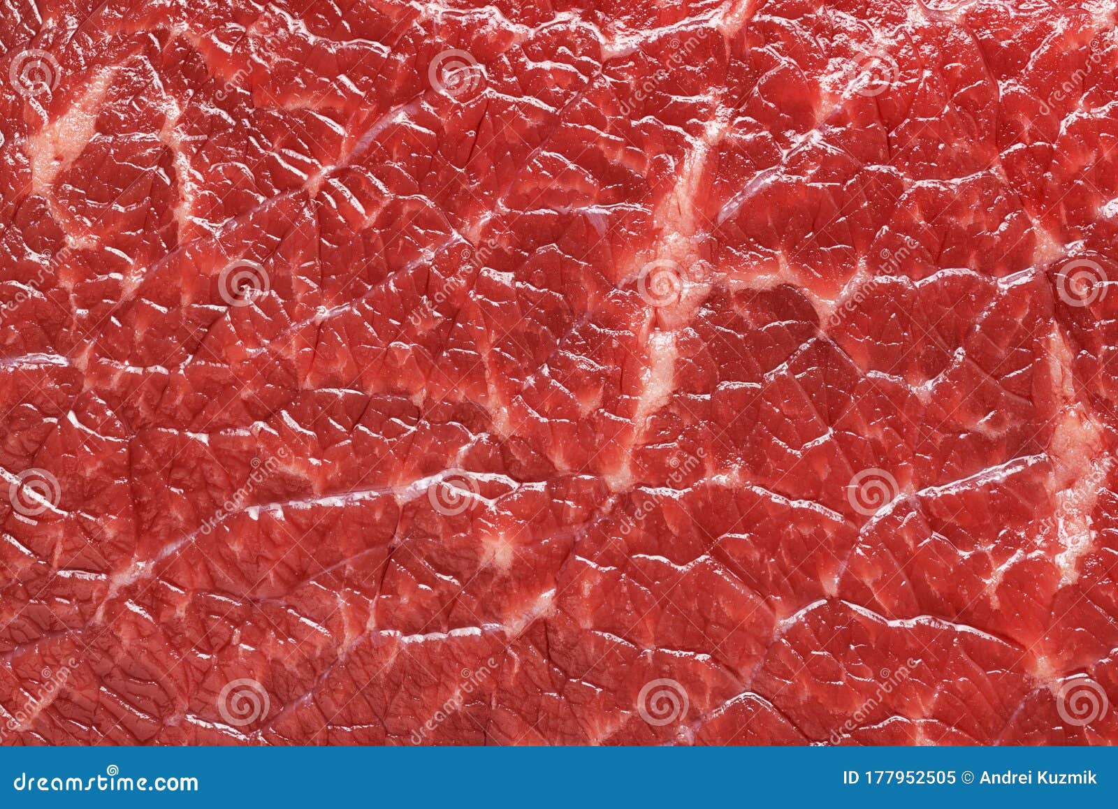 Muscle Texture