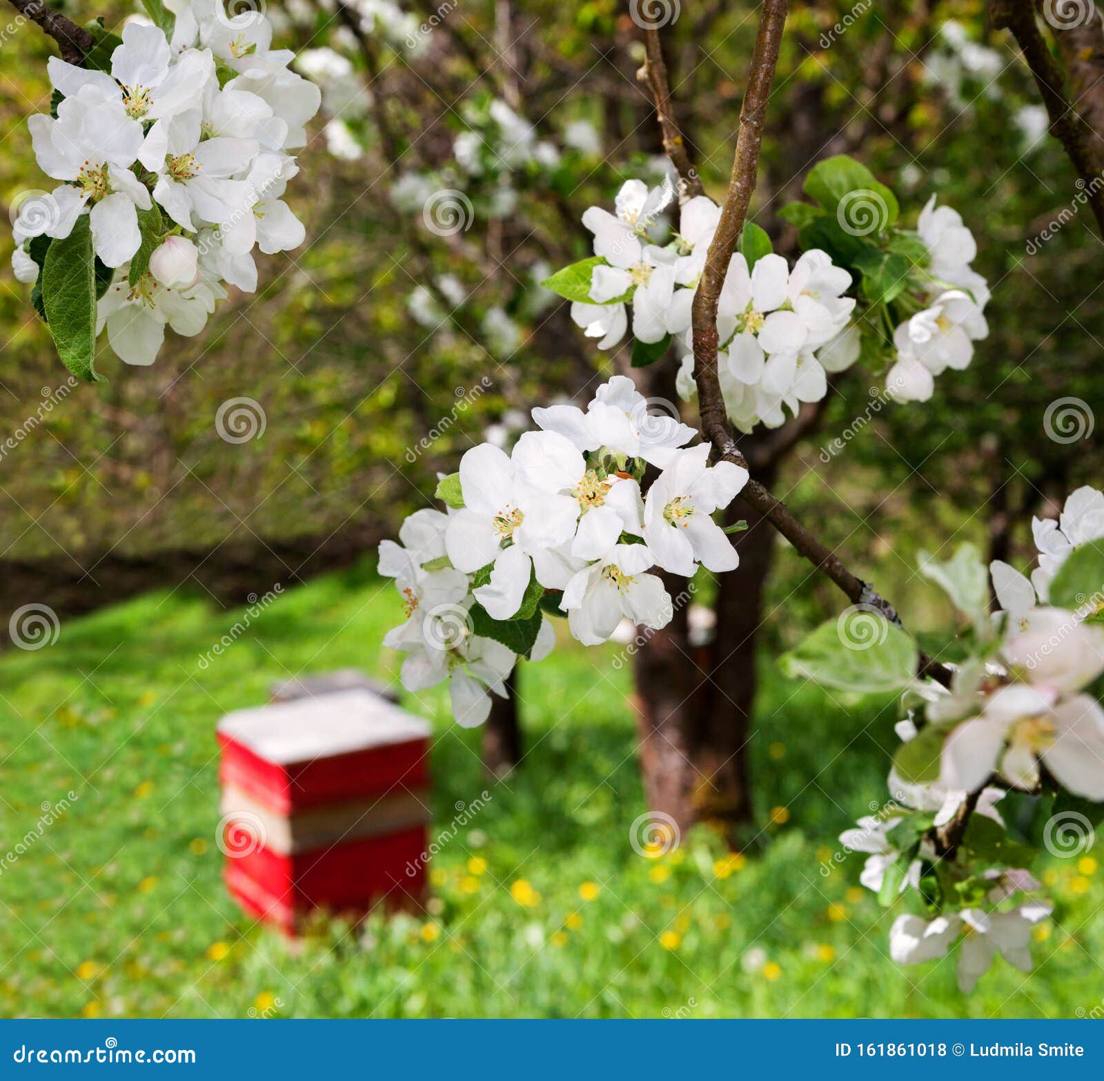 Red beehive on orchard stock photo. Image of food, sweet - 161861018