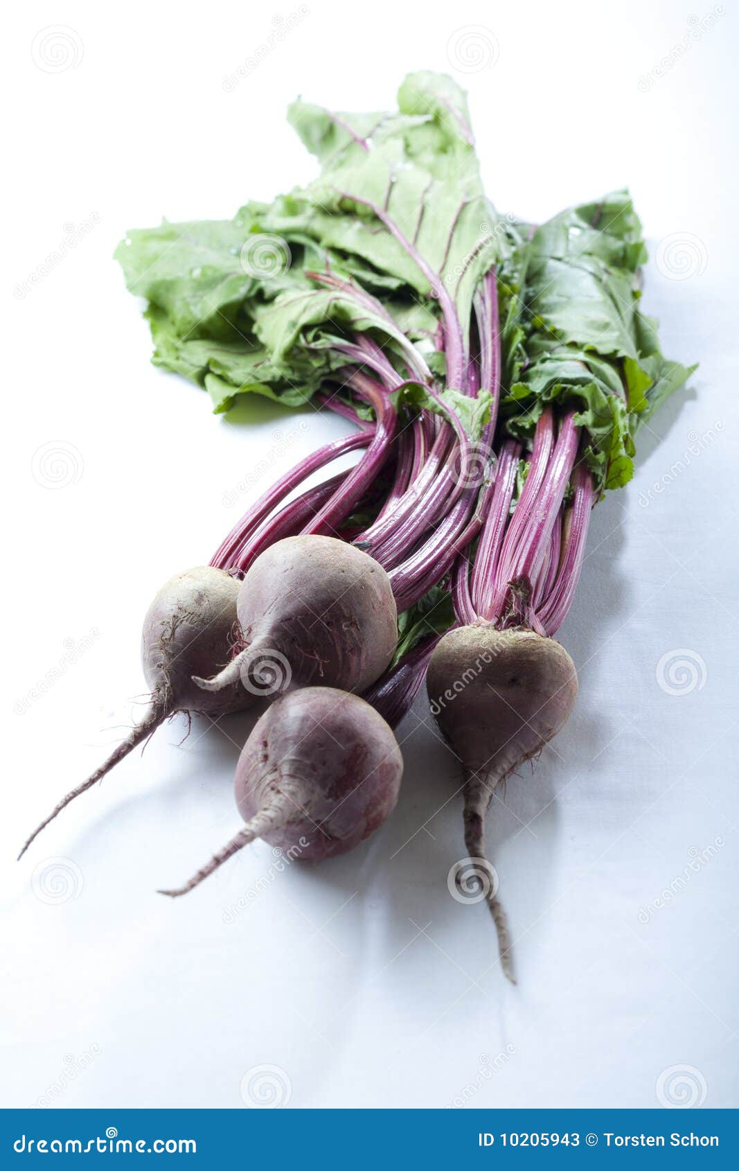 Red beet stock image. Image of vegetable, food, natural - 10205943