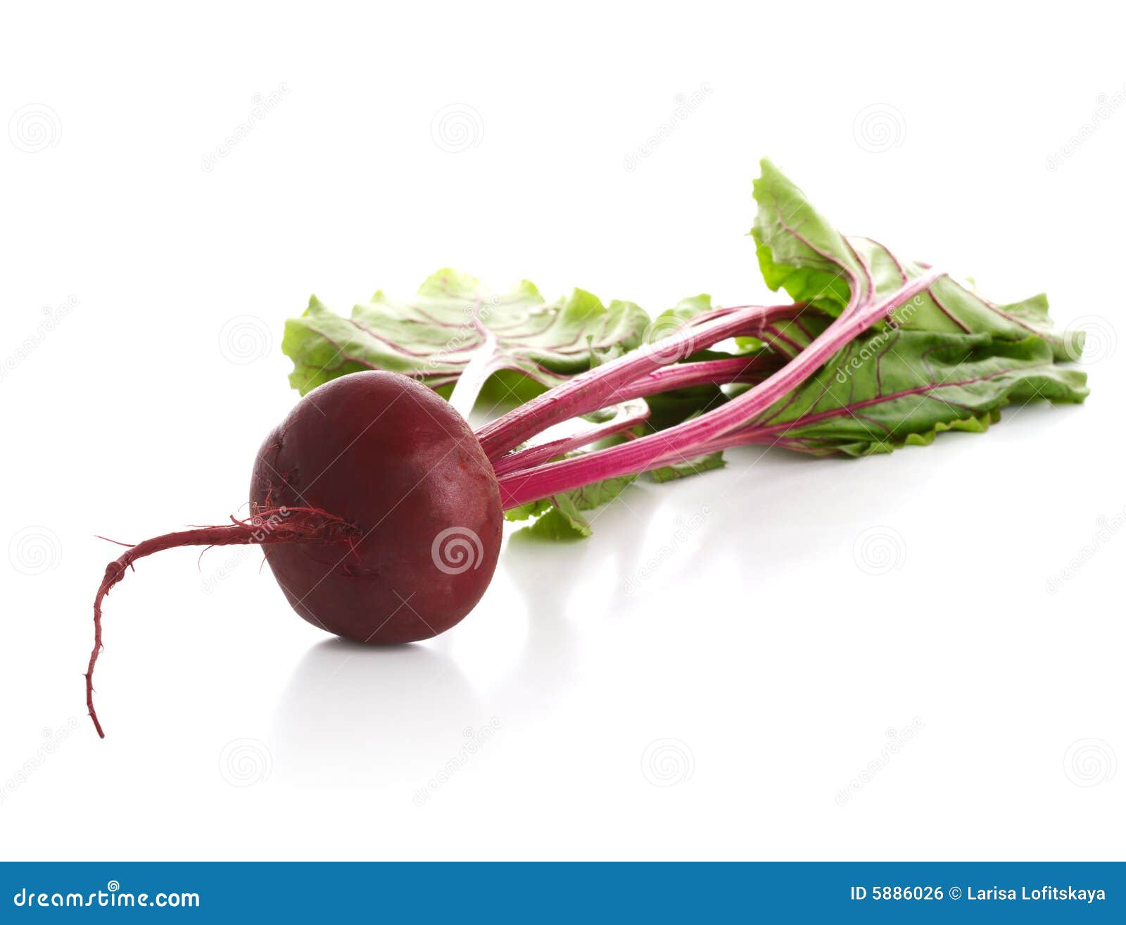 Red beet stock photo. Image of beet, white, food, healthy - 5886026