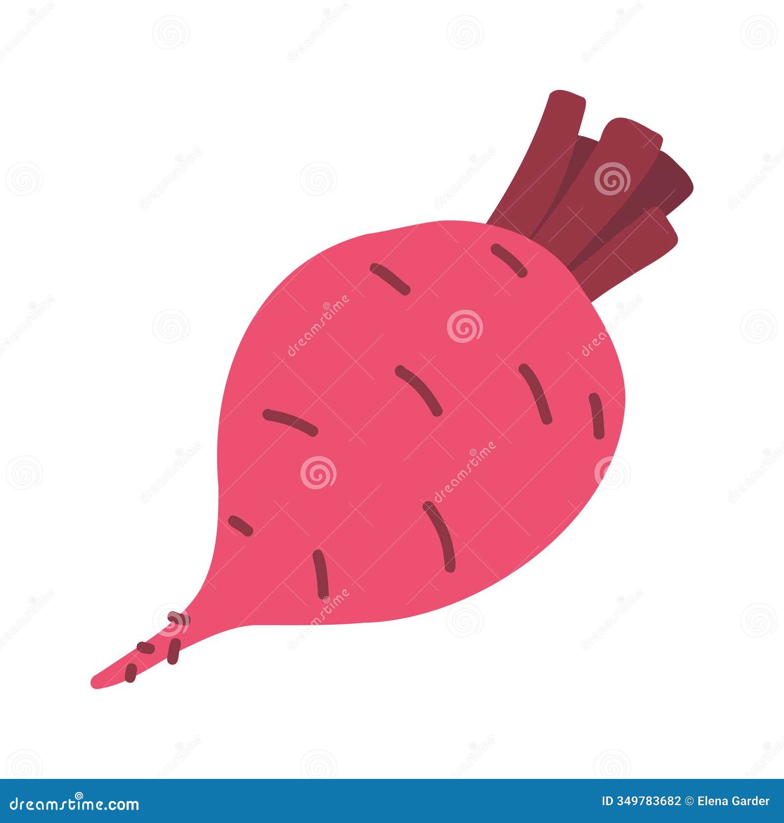 Beet Root With Leaves. Vector Artwork Of A Beets. Illustration Vector ...