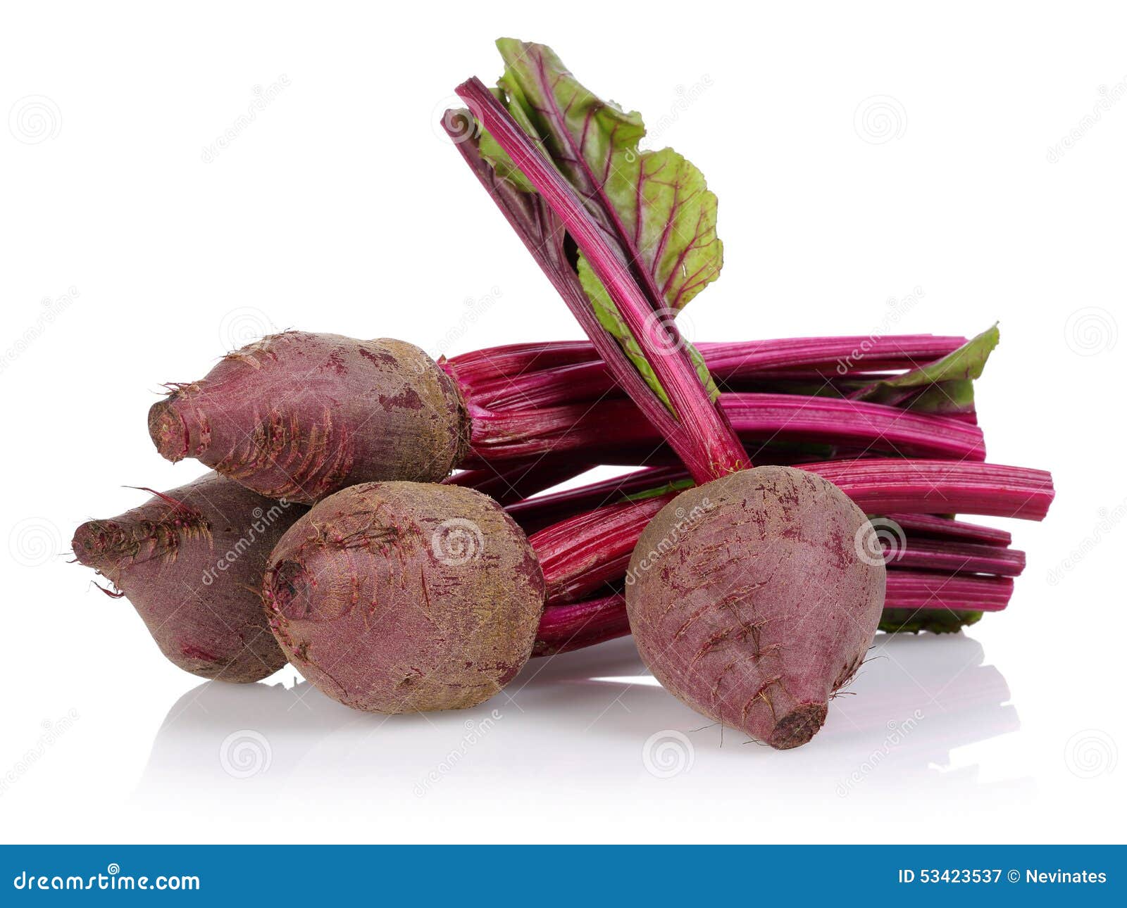 Beet Root Cut Under A Microscope Royalty-Free Stock Image ...