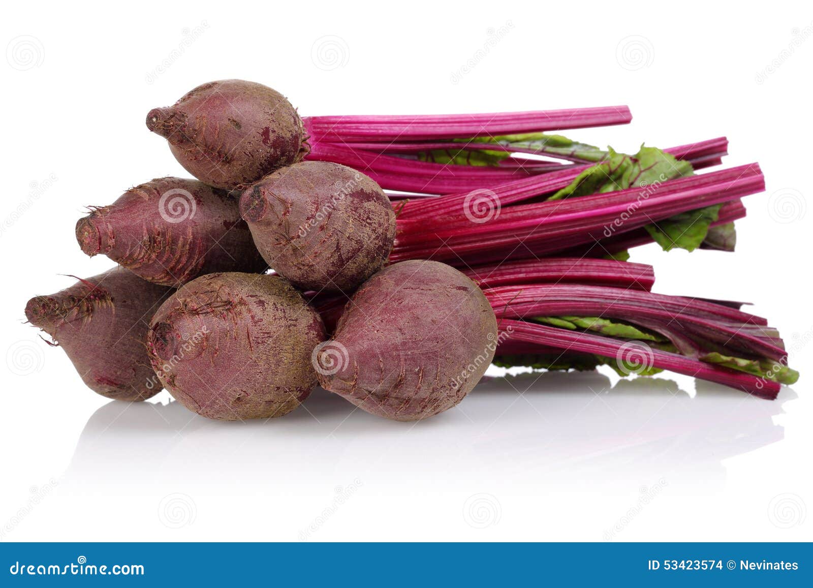 Beet Root Cut Under A Microscope Royalty-Free Stock Image ...