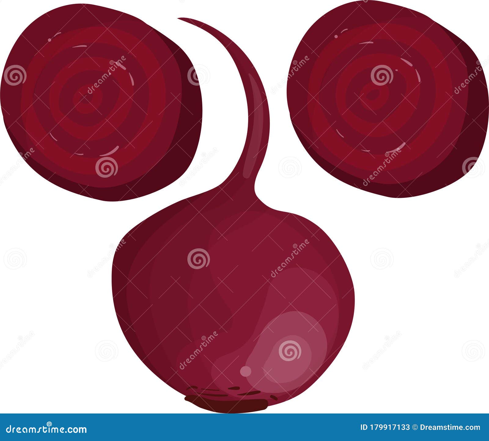 Red Beet, Single and Half. Vector Illustration Stock Vector ...