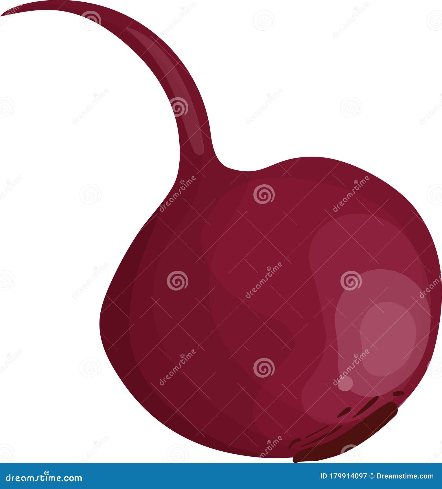 Red Beet. Vector Illustration Stock Vector - Illustration of food ...