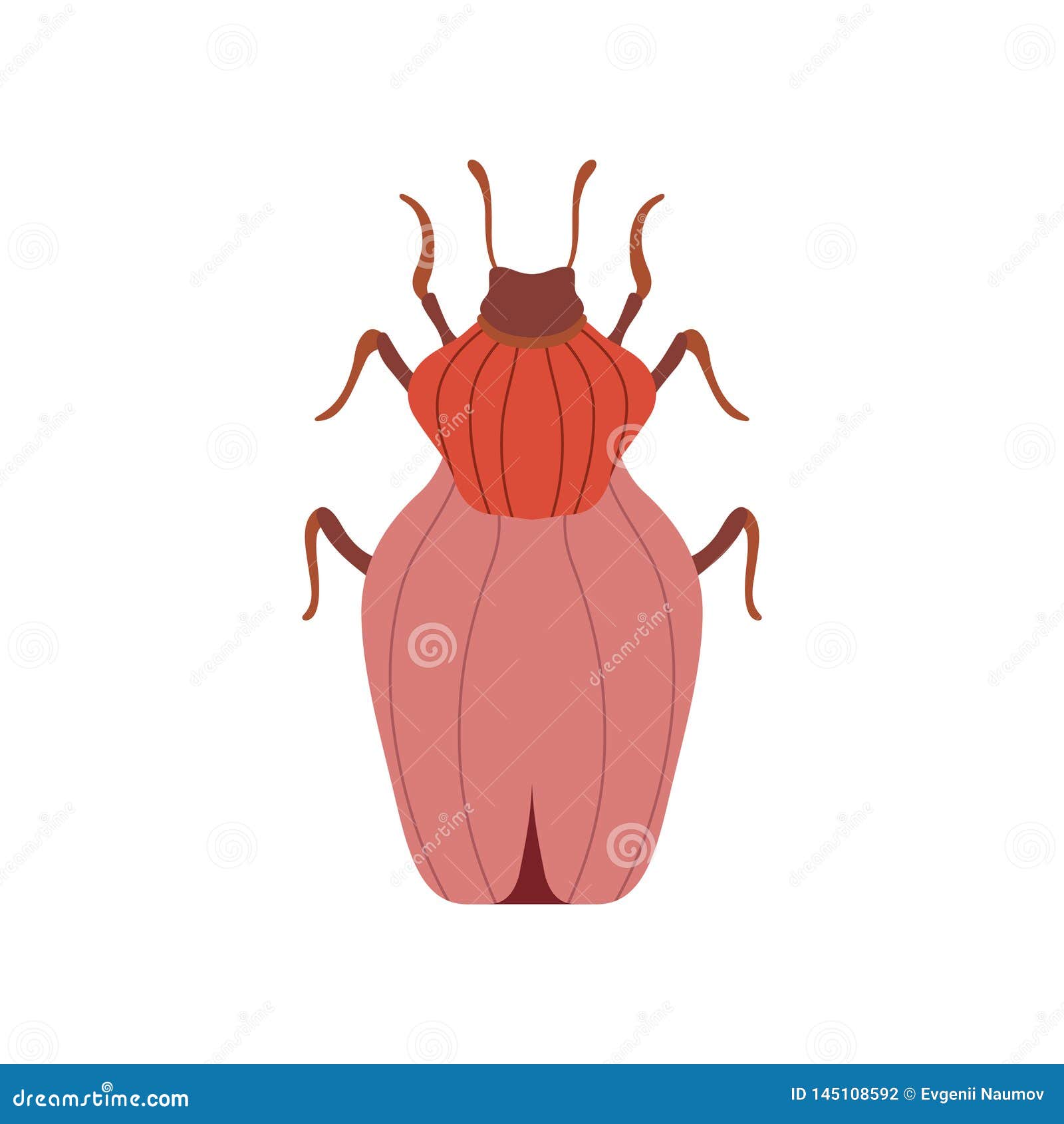 Red Beetle Insect, Bug Top View Vector Illustration Stock Vector ...