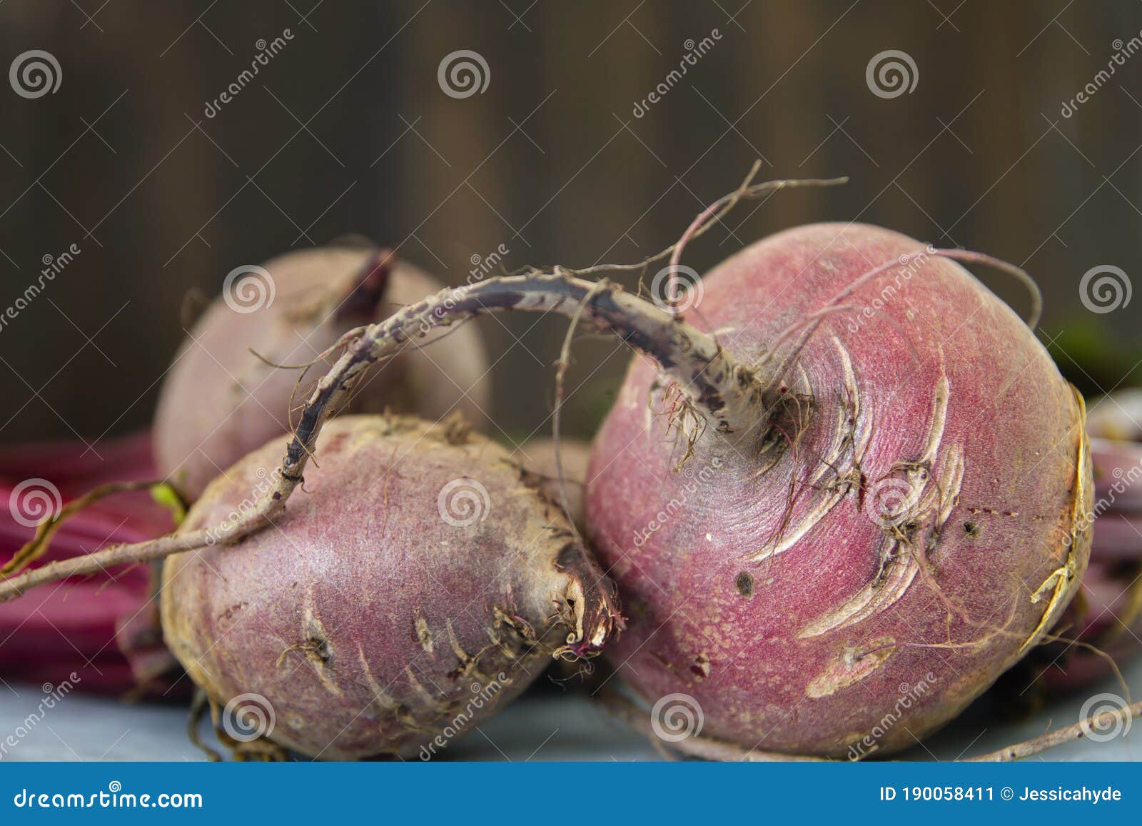 Red beetroot stock image. Image of vegetarian, beet - 190058411