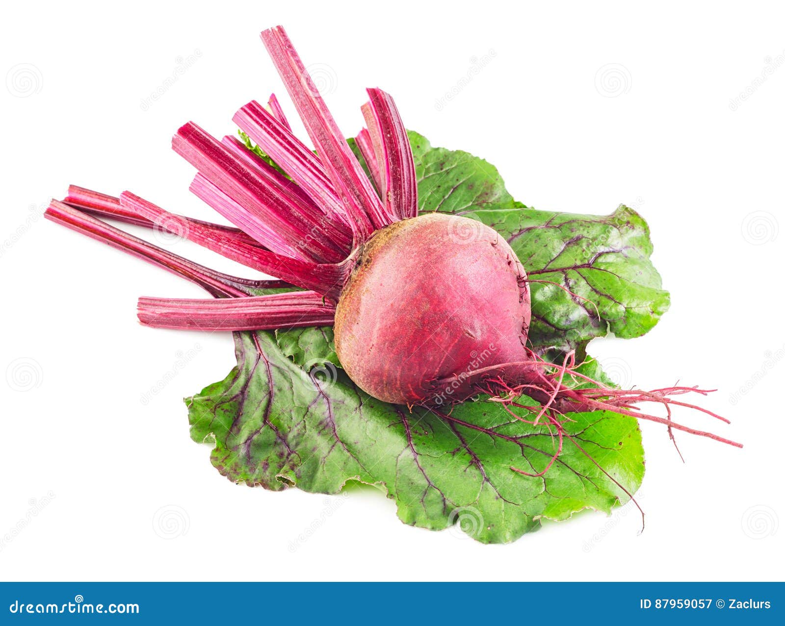 Red Beetroot Isolated on White Stock Image - Image of leaf, healthy ...