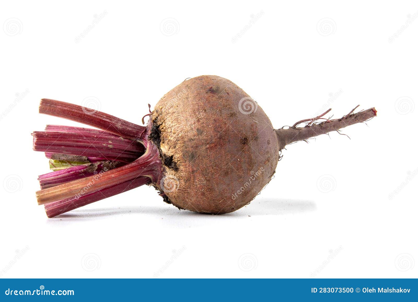 Red Beetroot Isolated on White Stock Photo - Image of delicious ...