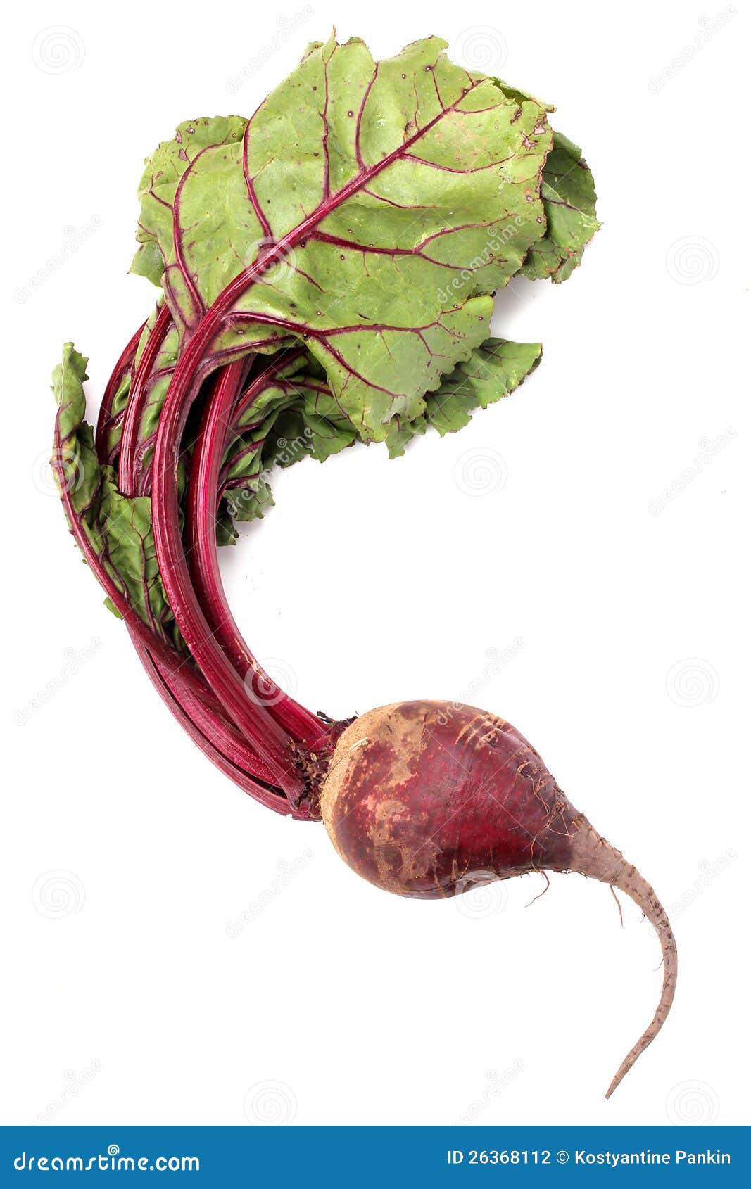 Red Beets stock photo. Image of fresh, purple, beet, beetroot - 26368112