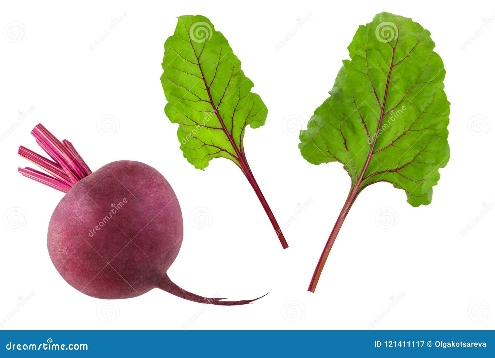 Red Beets, Fresh Vegetables, and Two Leaves Isolated on White ...