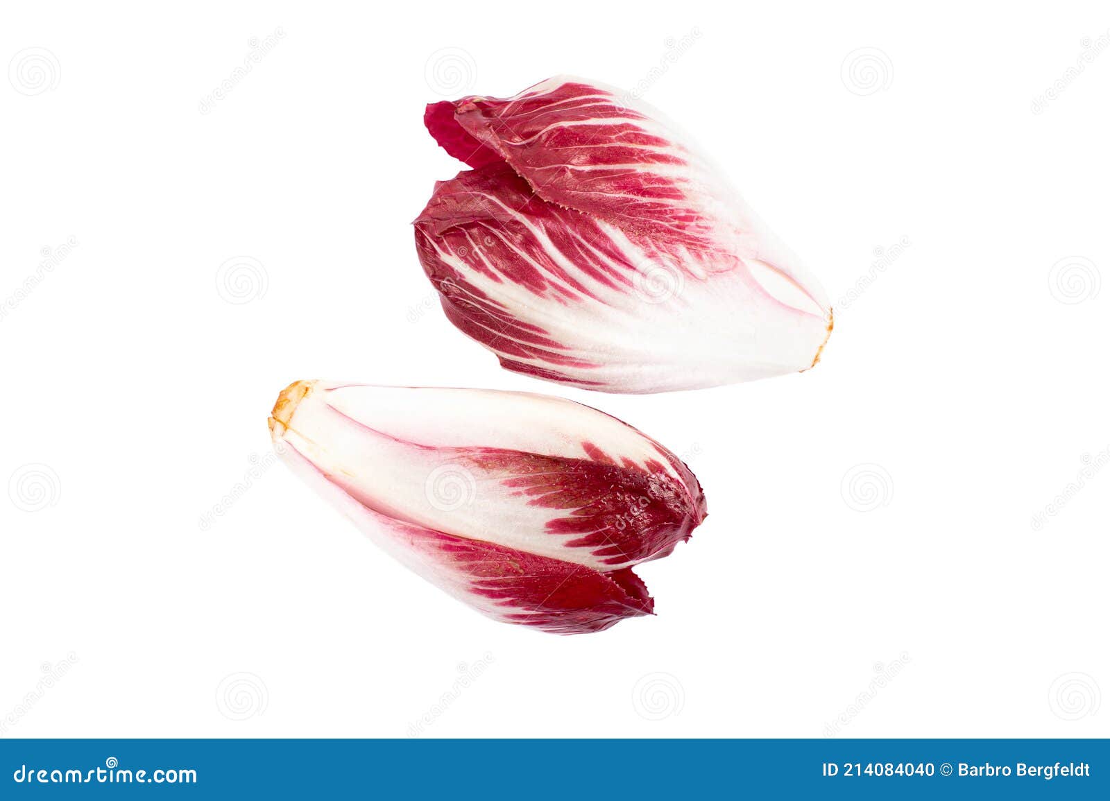 Belgian Endive, Raw Fresh Witloof Chicory Buds, On A Black Background ...