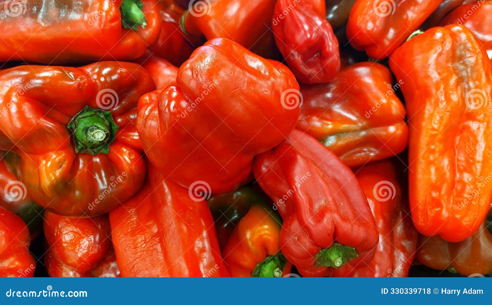 Red Bell Pepper (Capsicum Annuum) for Sale Stock Photo - Image of white ...