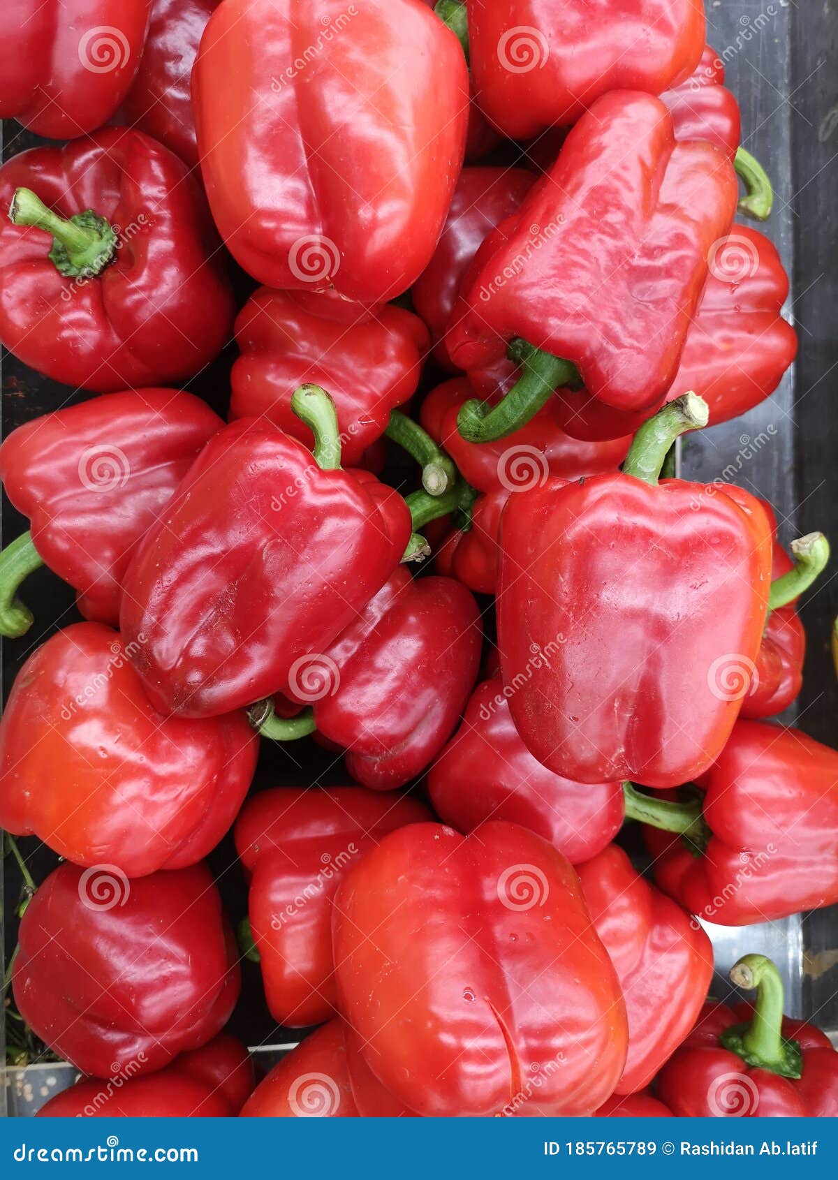 Red bell pepper or capsium stock image. Image of tomato - 185765789