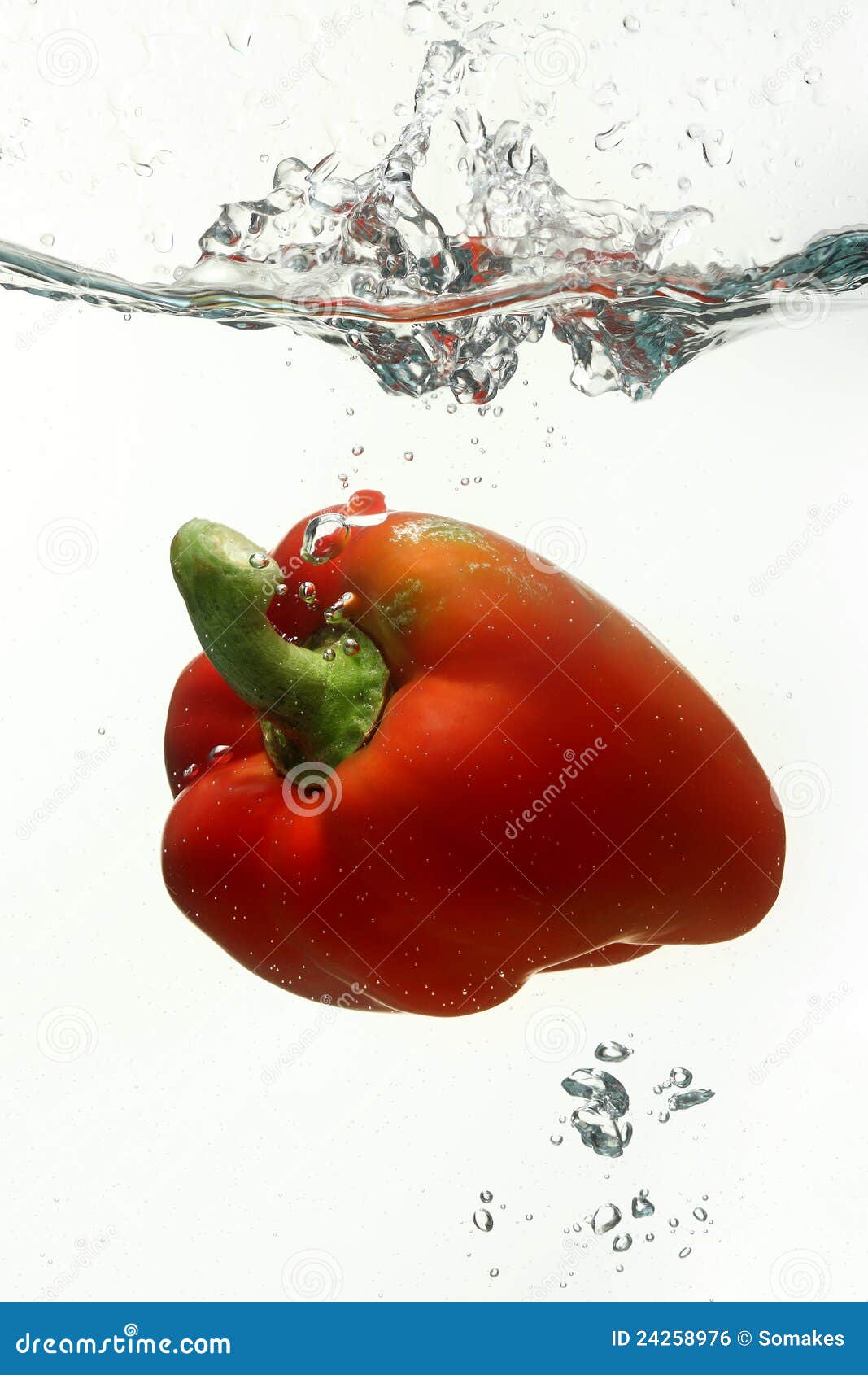 Red bell pepper in water stock photo. Image of splashes - 24258976