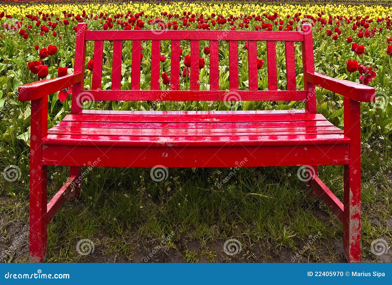 Red Bench with Flowers stock photo. Image of field, relaxation - 22405970
