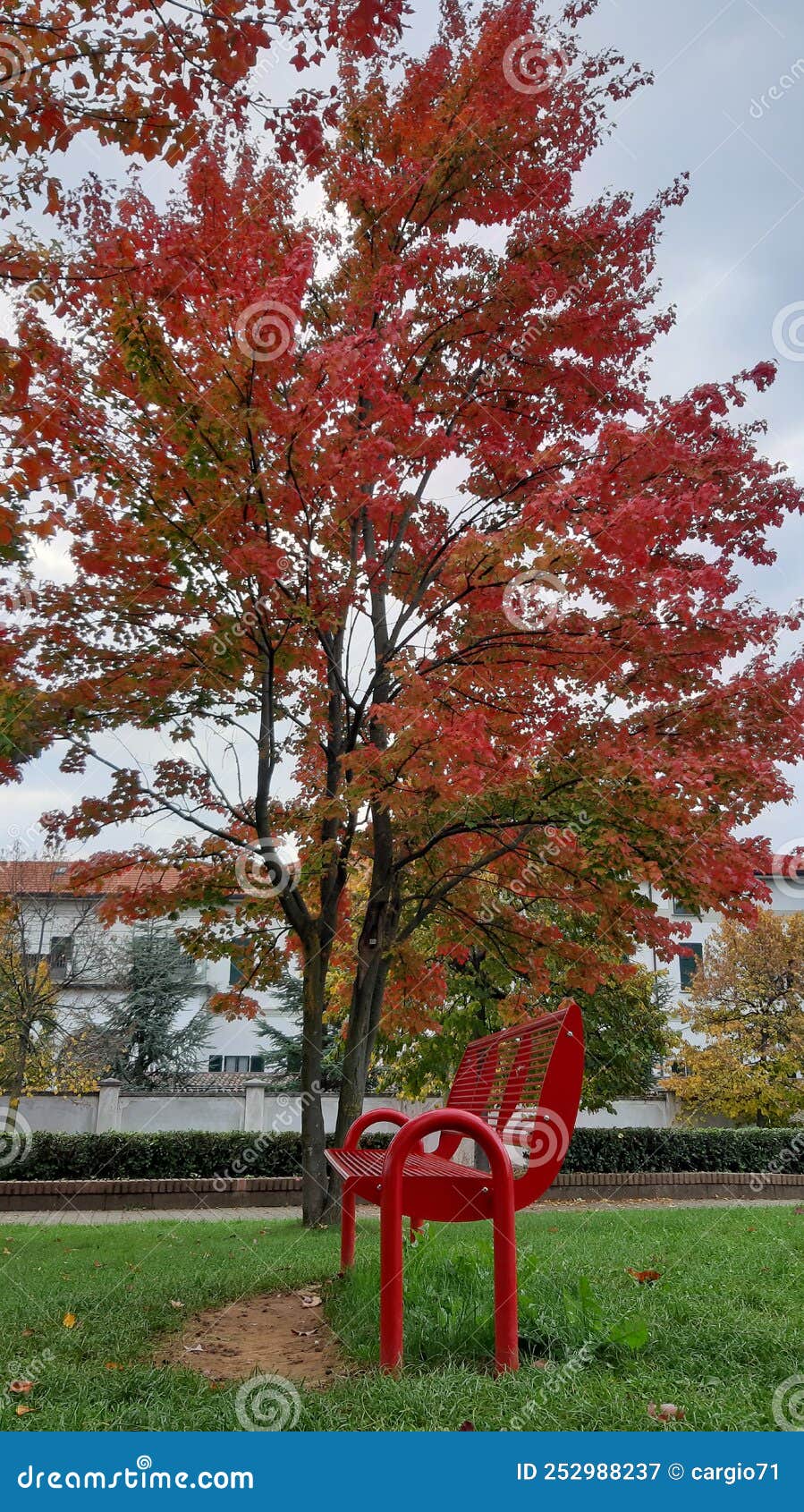 Red Bench with Red Maple in the Background Stock Image - Image of tree ...