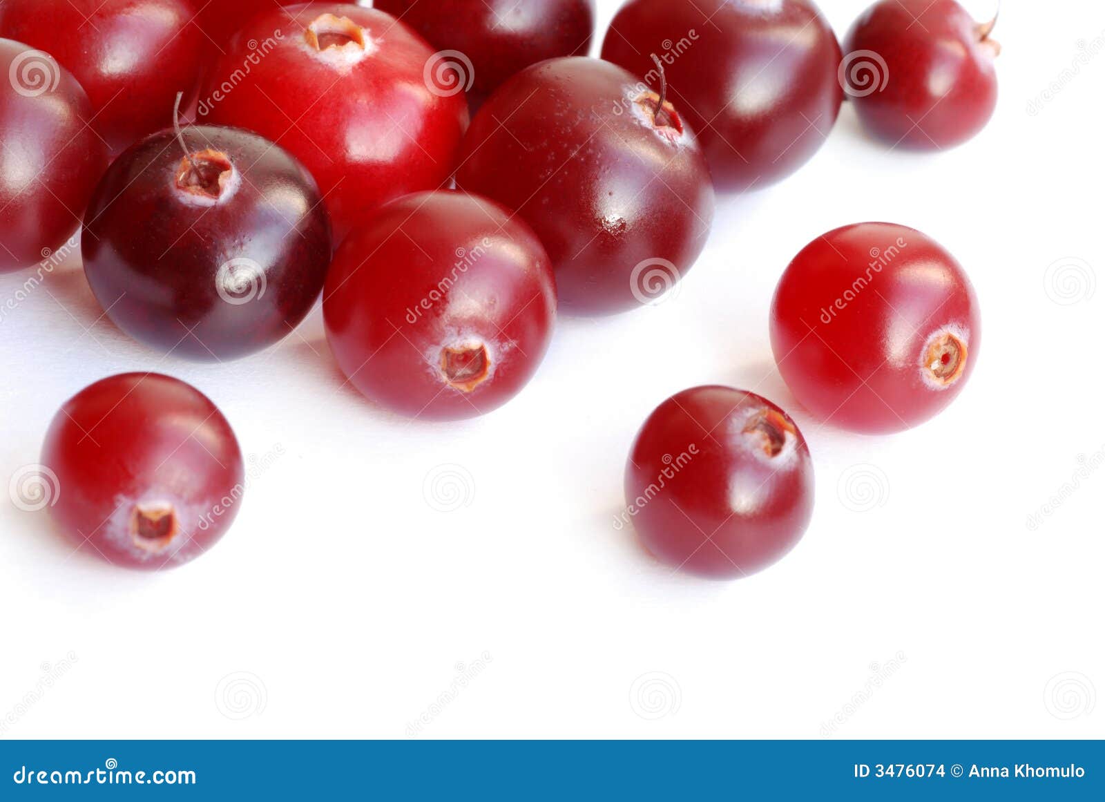 Red berries stock photo. Image of nature, fruit, diet - 3476074