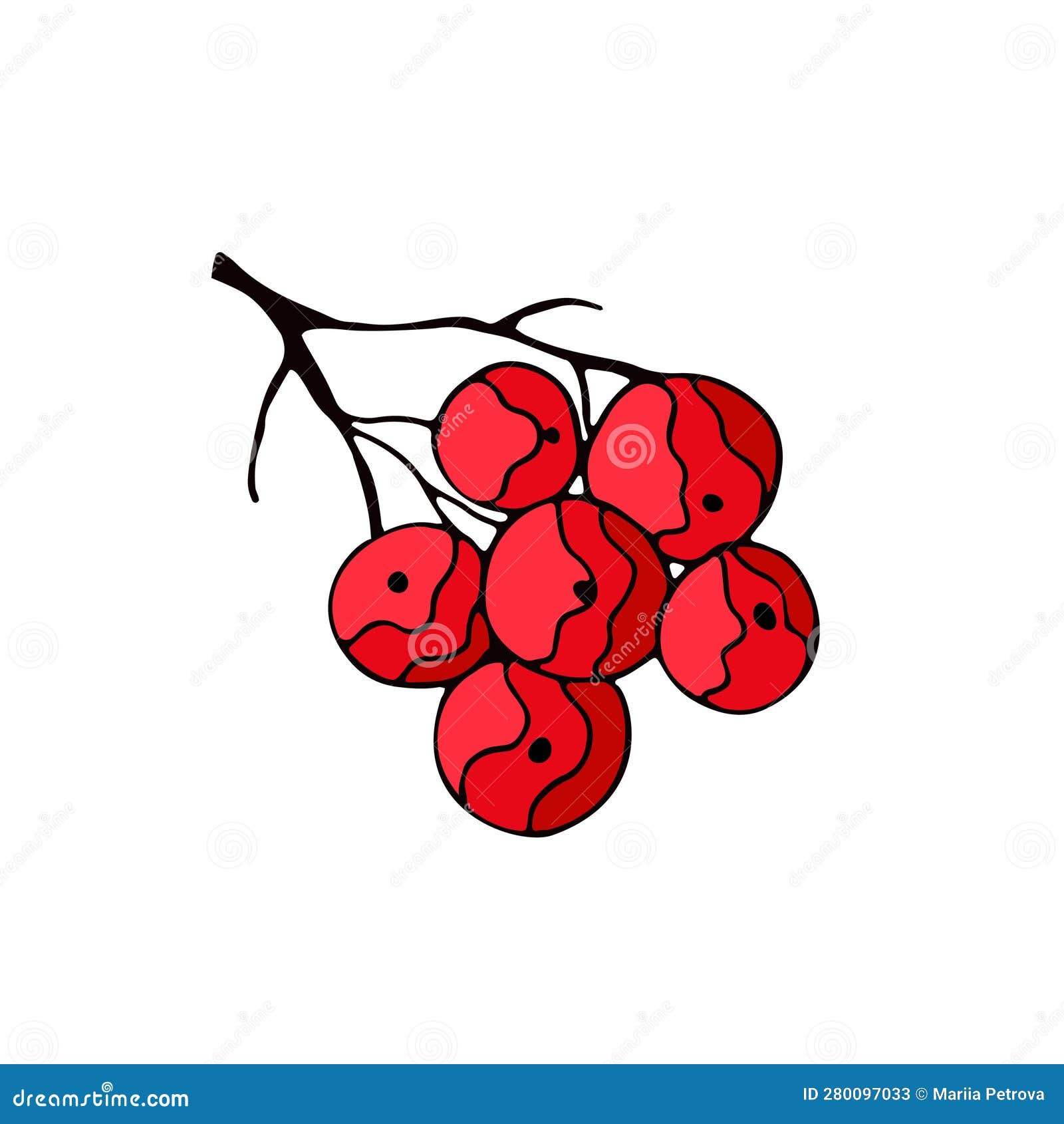 Red Berries on a Branch Isolated on White Background Stock Vector ...