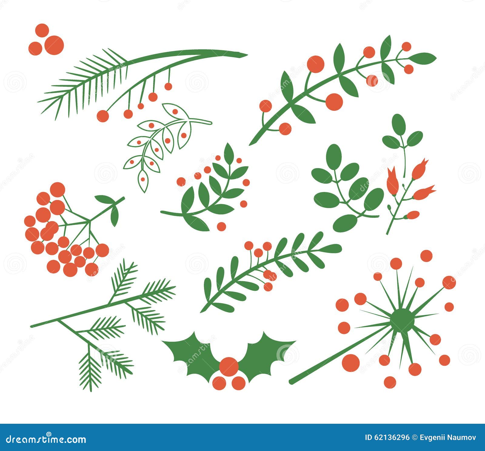 Red Berries, Fir and Leaves. Vector Illustration Stock Vector ...