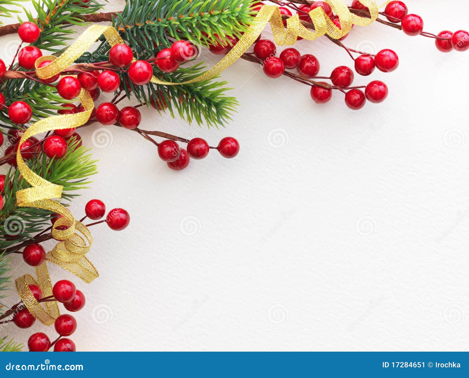 Red Berries and Pine Frame stock image. Image of winter - 17284651