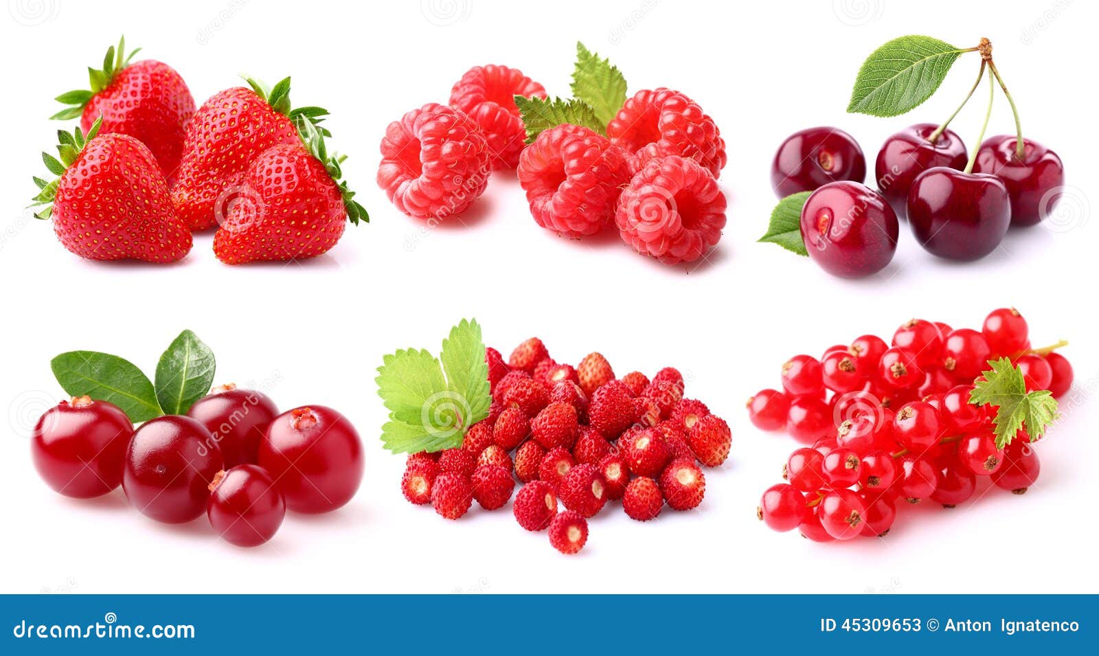 Red berries stock image. Image of fruit, healthy, food - 45309653