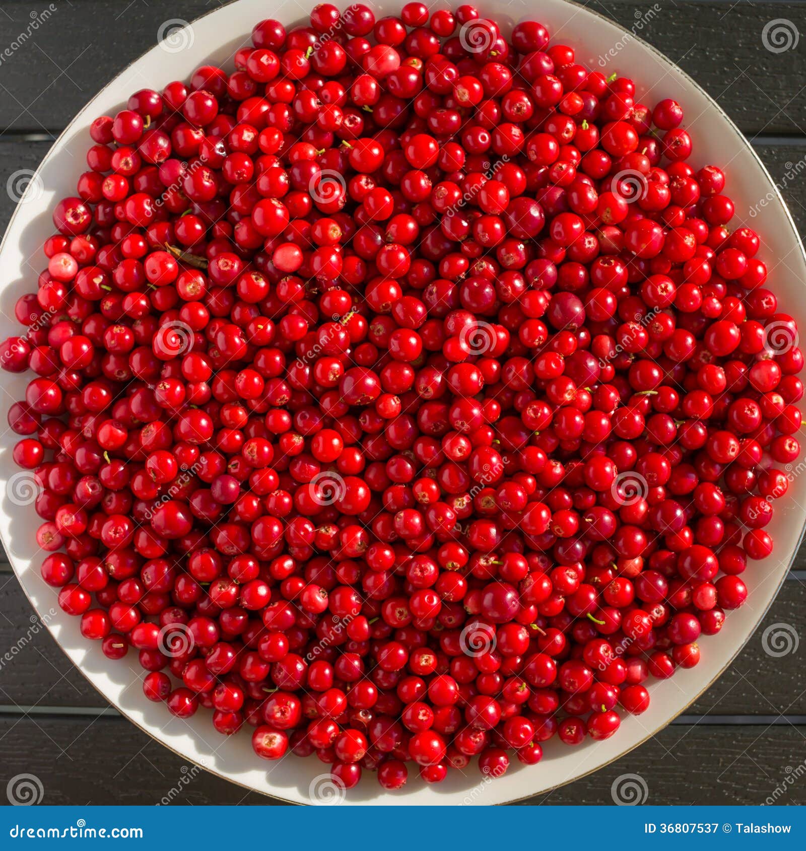 Red Berries on a White Plate Stock Image - Image of cookie, gourmet ...