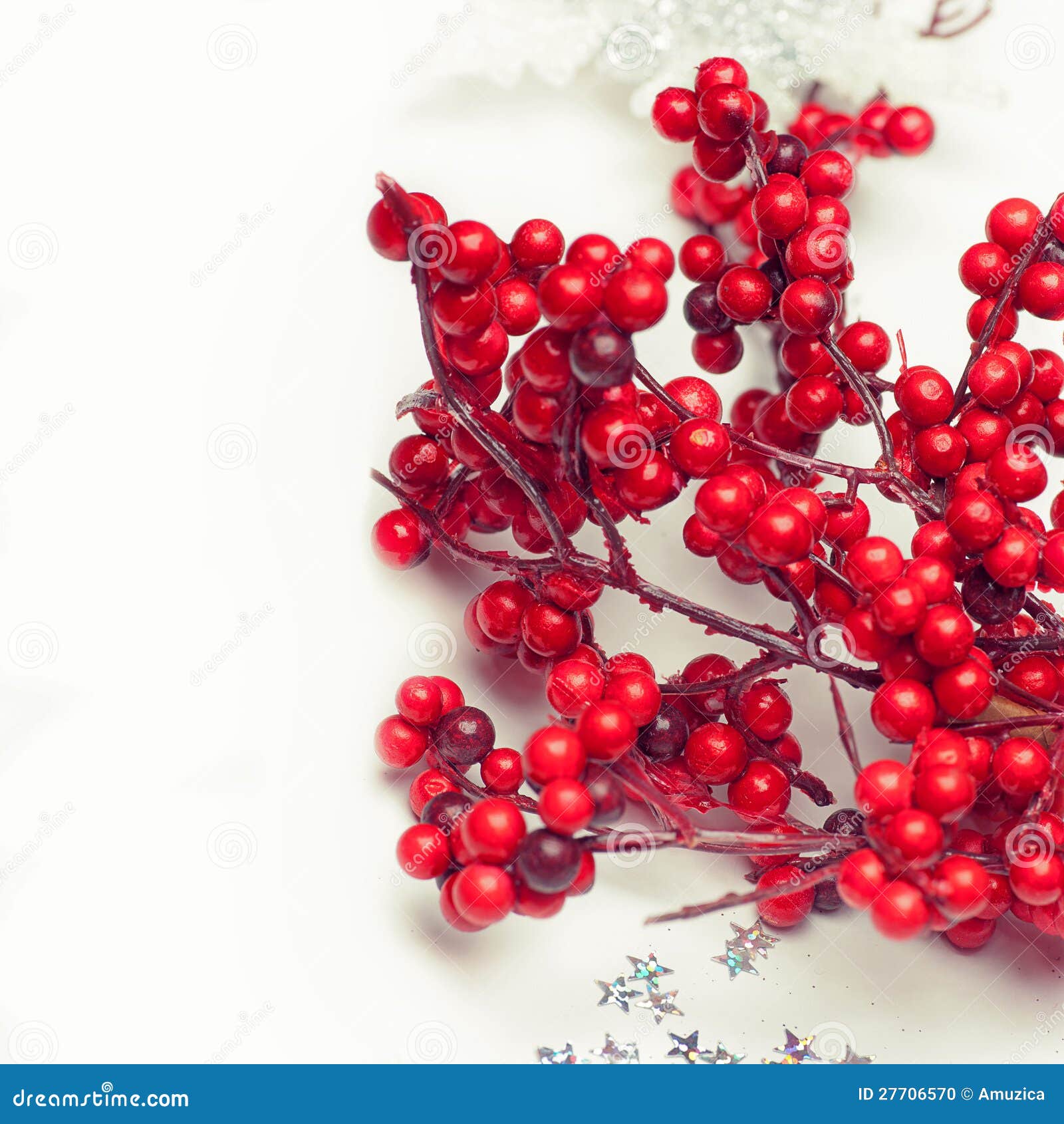 Red berry branches stock photo. Image of flora, holly - 27706570